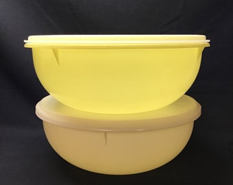 Large Tupperware - Etsy