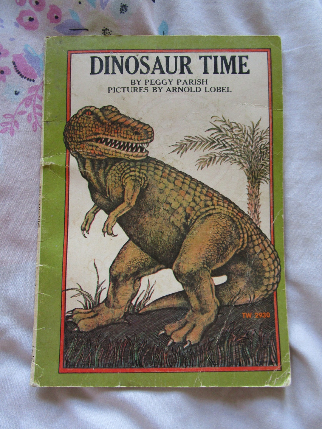 Vintage Scholastic 1974 Dinosaur Time TW2930 SC Book - Etsy