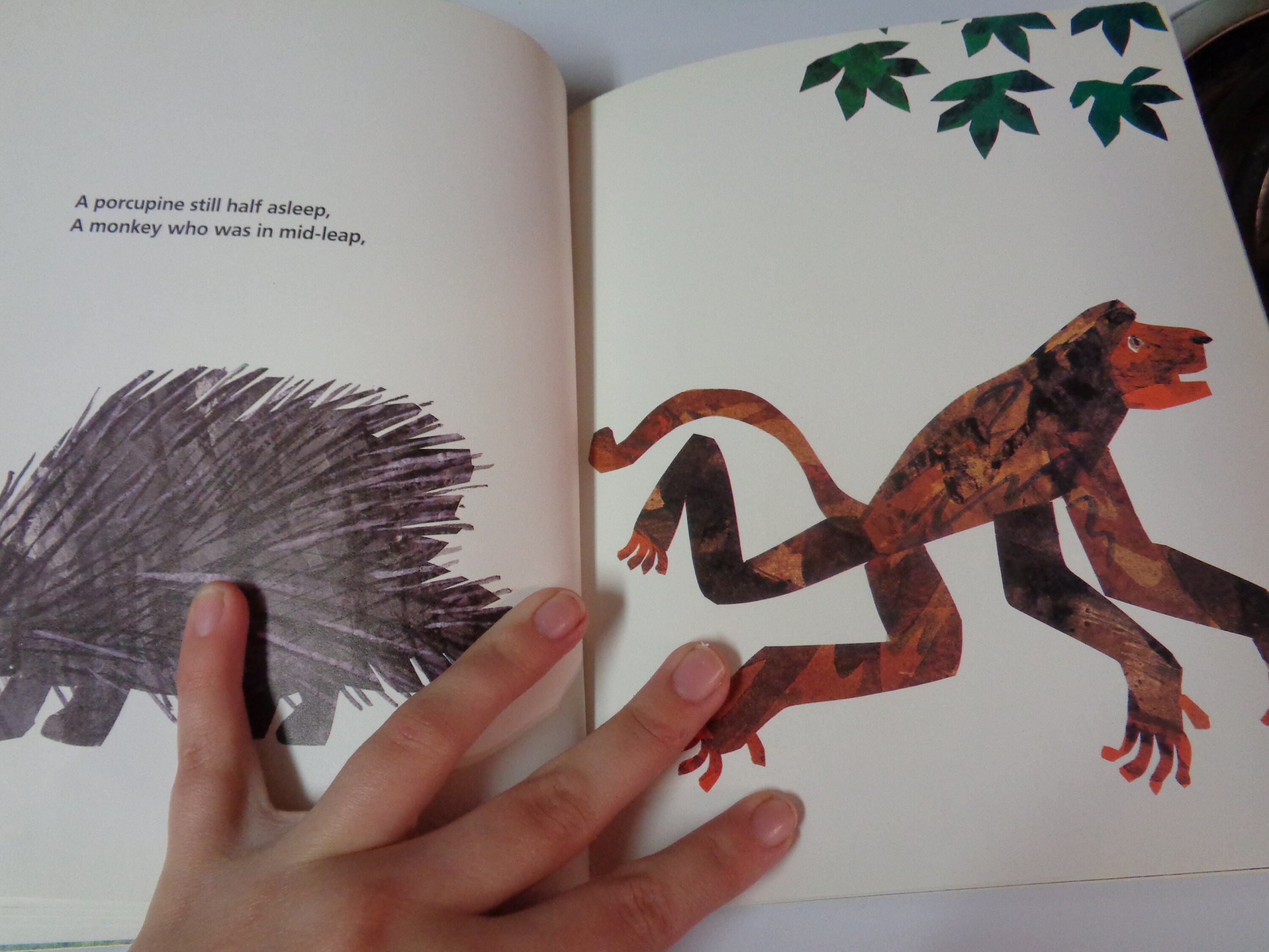 Vintage 1992 Scholastic the Greedy Python by Richard Buckley | Etsy