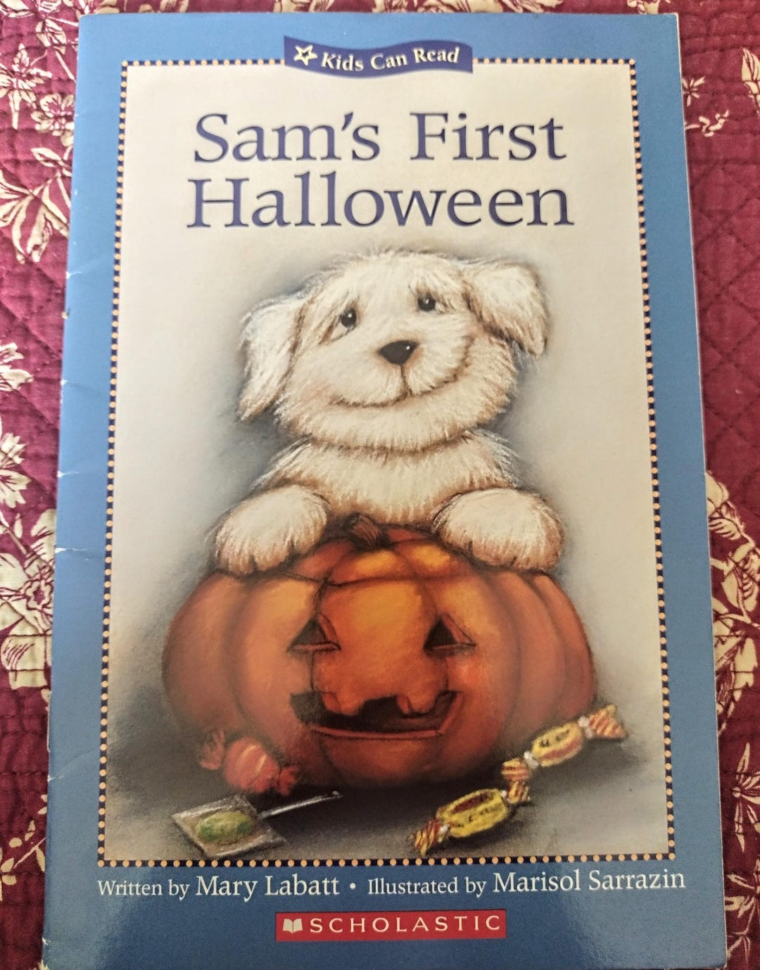 Vintage 2003 Scholastic Sam's First Halloween SC Book - Etsy