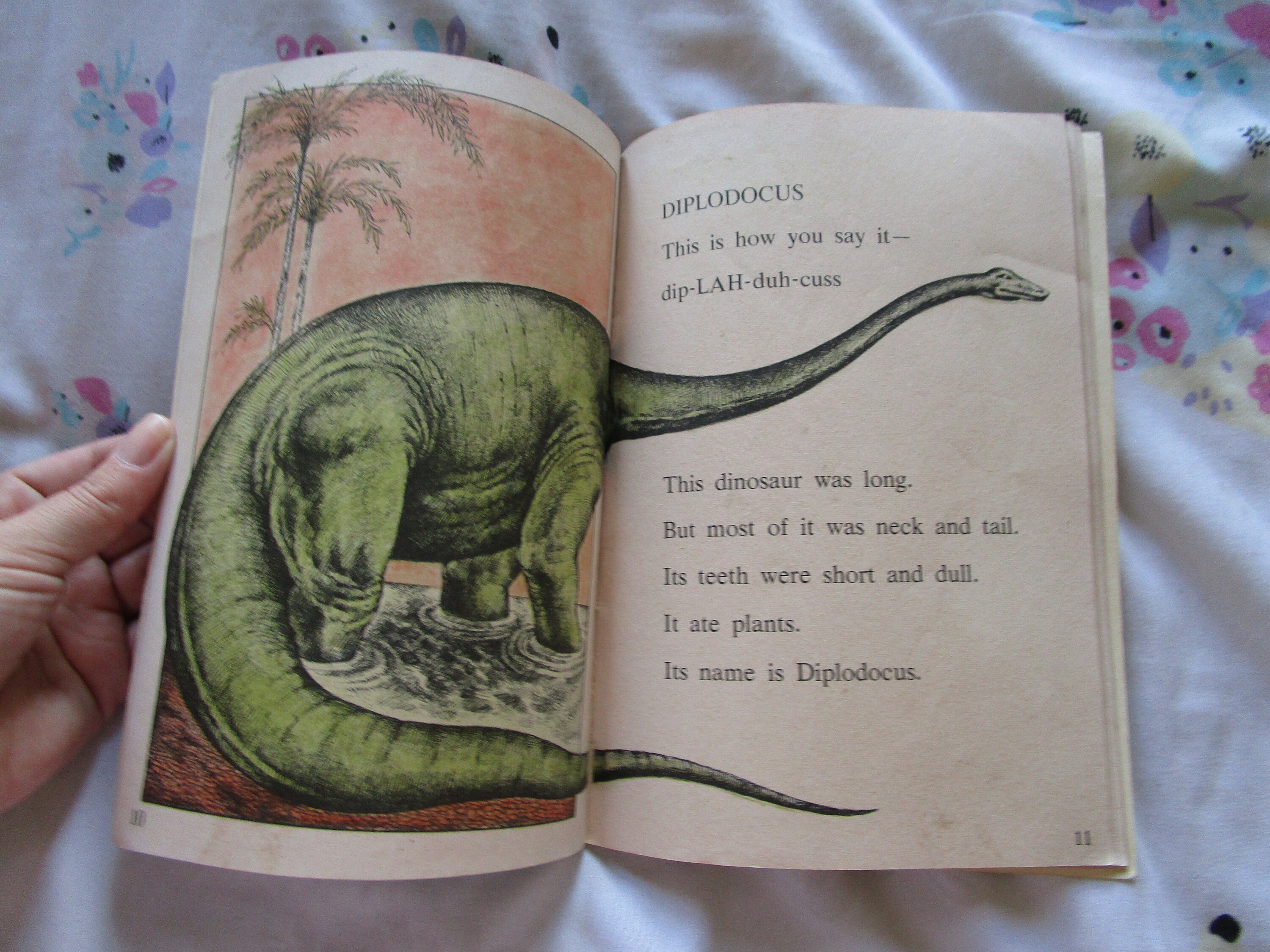 Vintage Scholastic 1974 Dinosaur Time TW2930 SC Book - Etsy