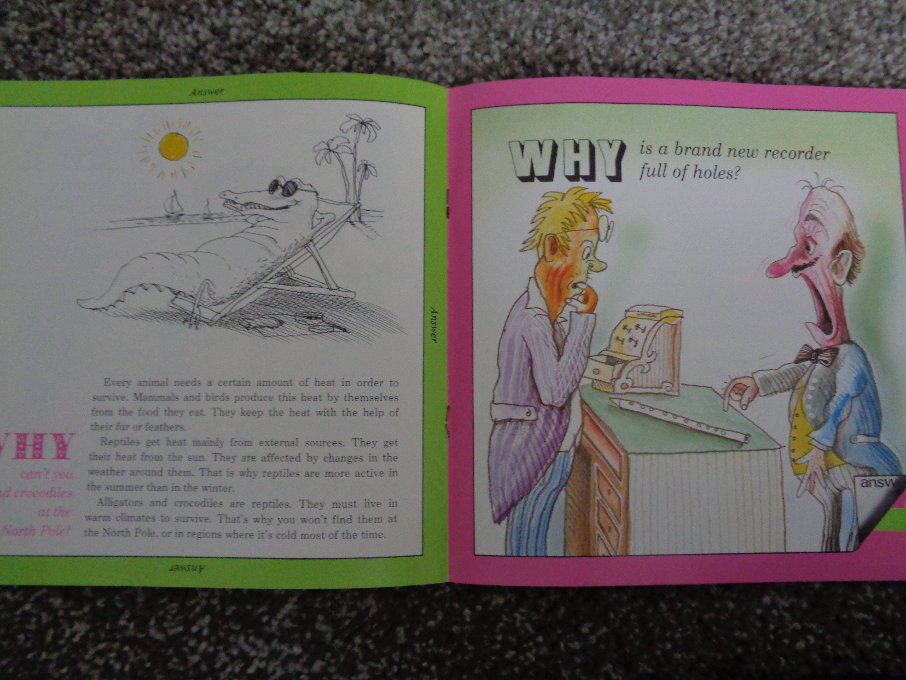 1985 Why the Wh Book by Aharan Shemi and Danny Kerman SC Book - Etsy