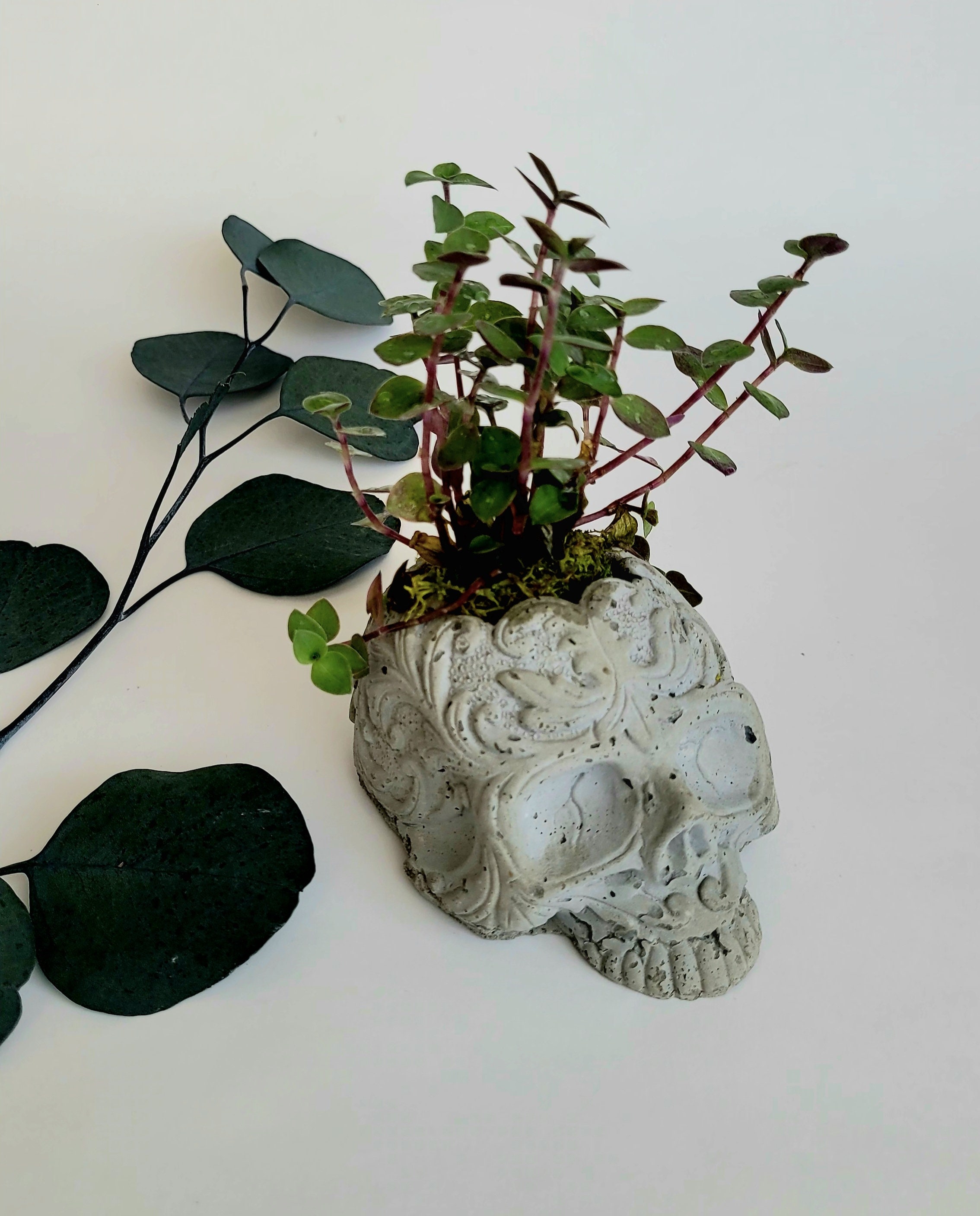 One Skull Planters, Concrete Planters, Sugar Skull, Cement Planters ...