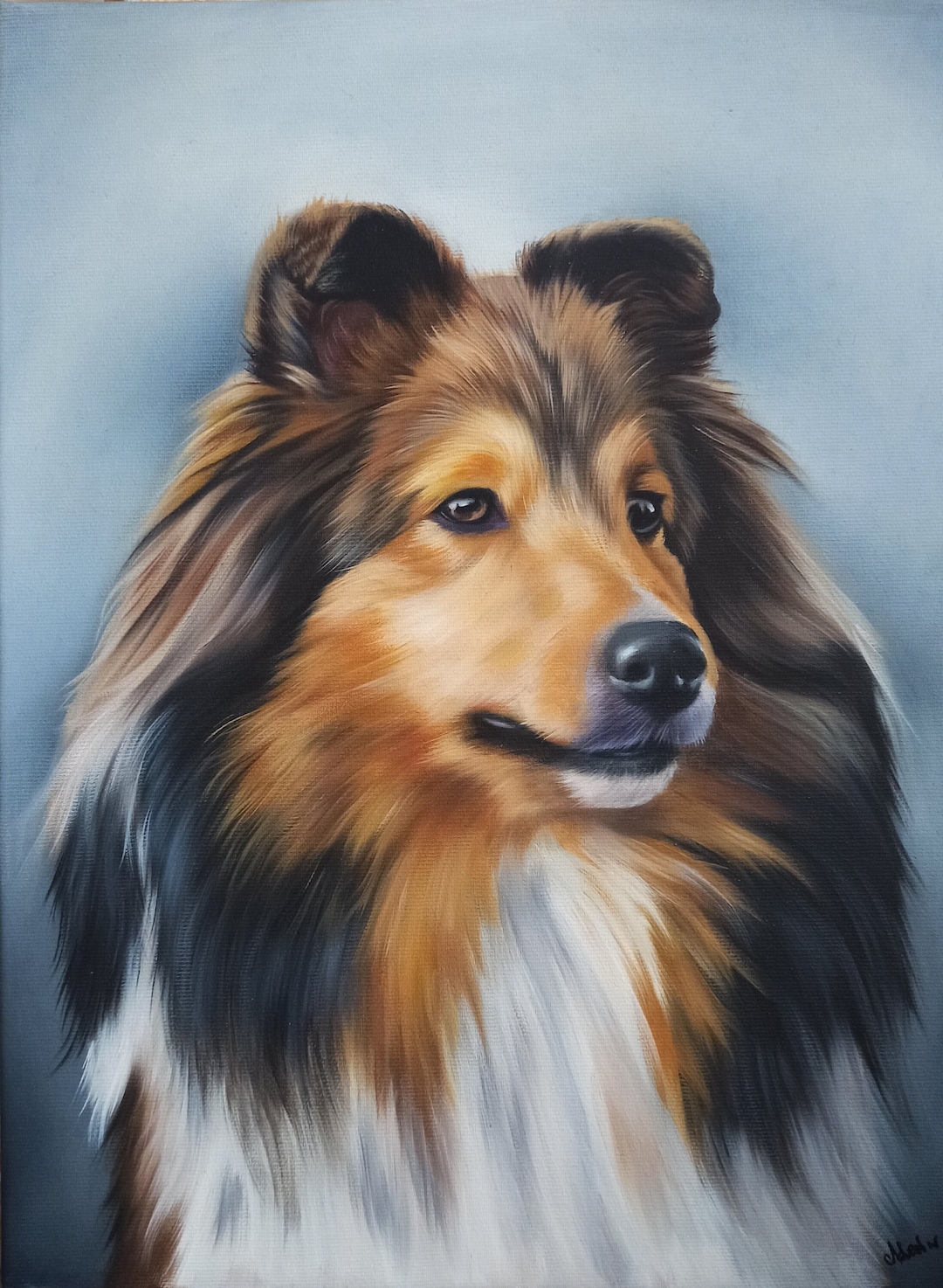 Sheltie Shetland Sheepdog- Hand Painted Dog Portrait. Gift for Dog ...