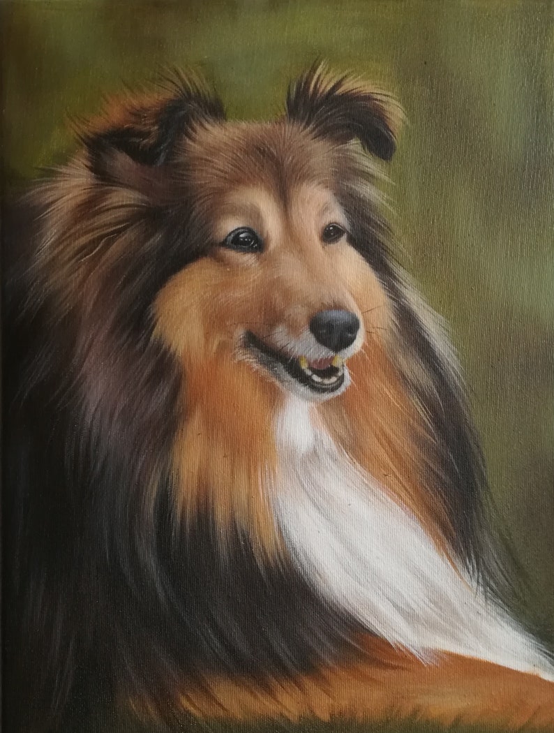 Sheltie Shetland Sheepdog- Hand Painted Dog Portrait. Gift for Dog ...