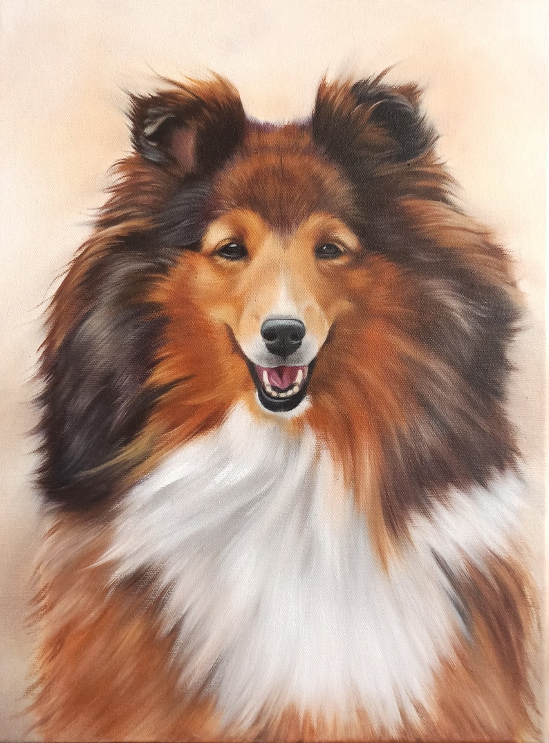 Sheltie Shetland Sheepdog- Hand Painted Dog Portrait. Gift for Dog ...