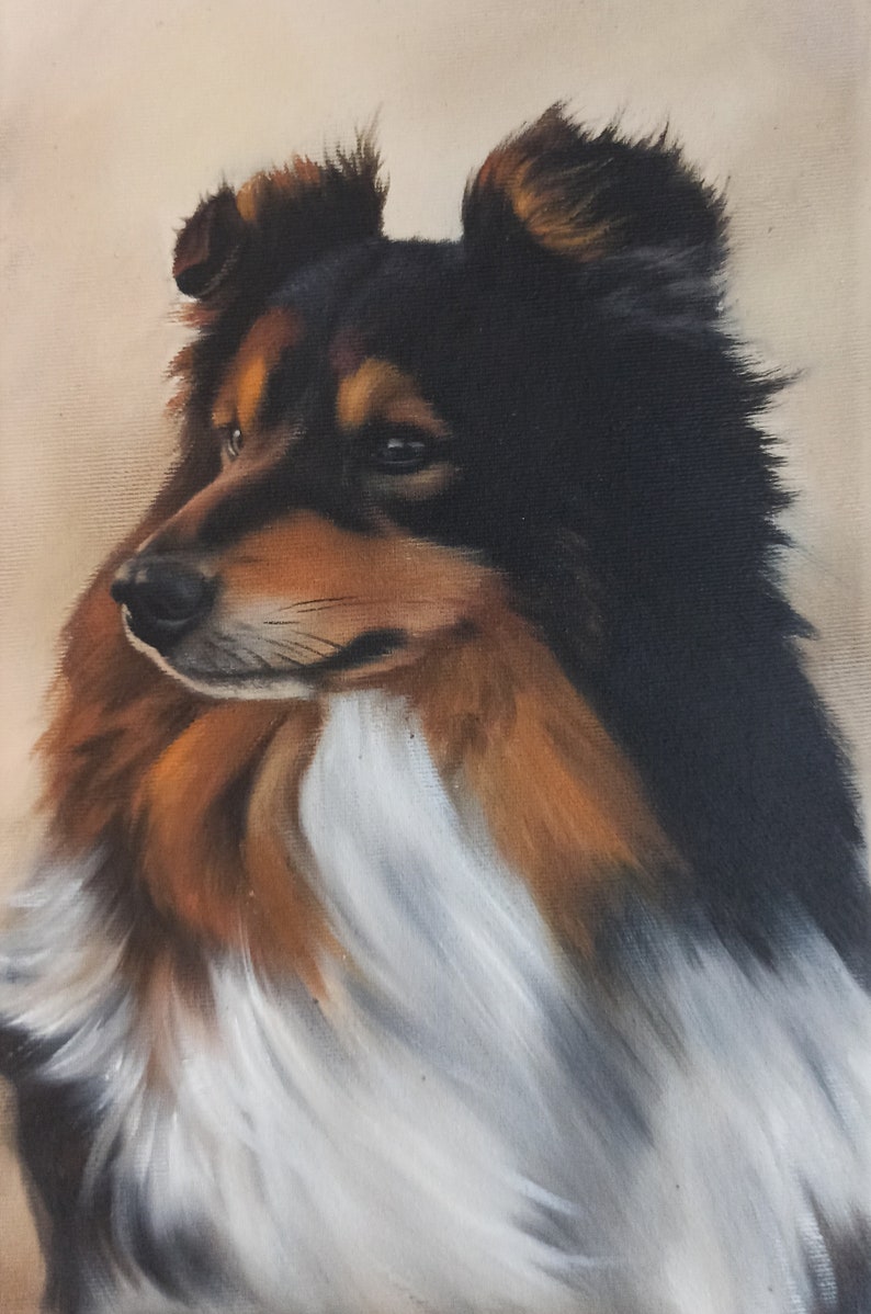 Sheltie Shetland Sheepdog- Hand Painted Dog Portrait. Gift for Dog ...