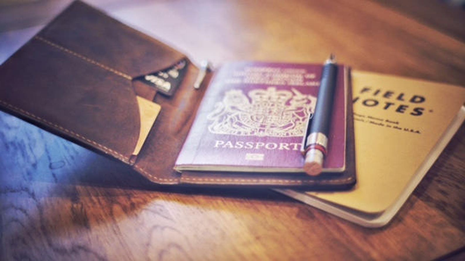 Luxury RFID Leather Passport Holder / Travel Wallet Raw Tan - Etsy