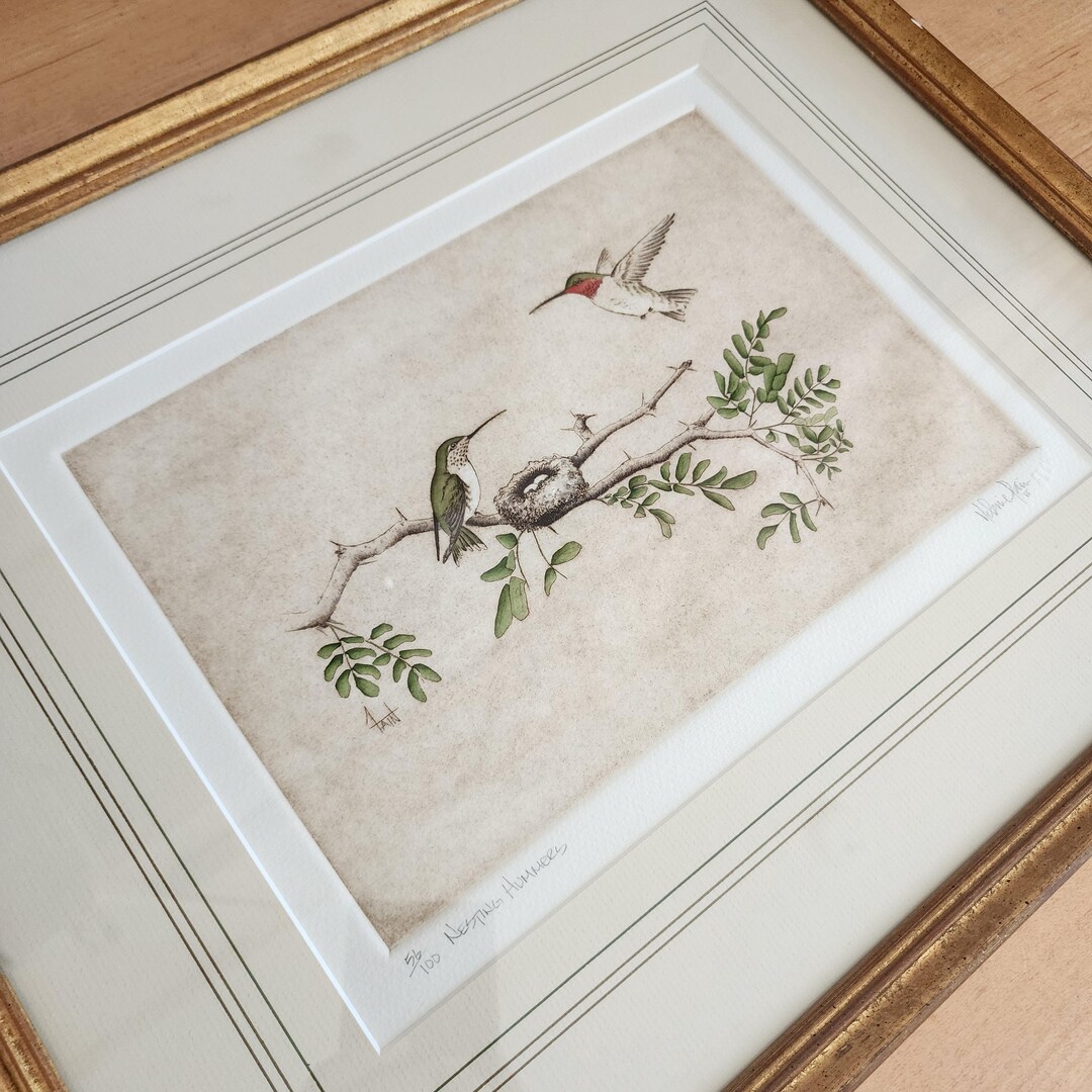 Vintage Art Framed Painting Etching Hummingbirds Signed Matted Melanie ...