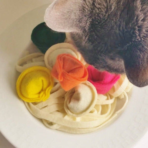 Catnip Toy Etsy