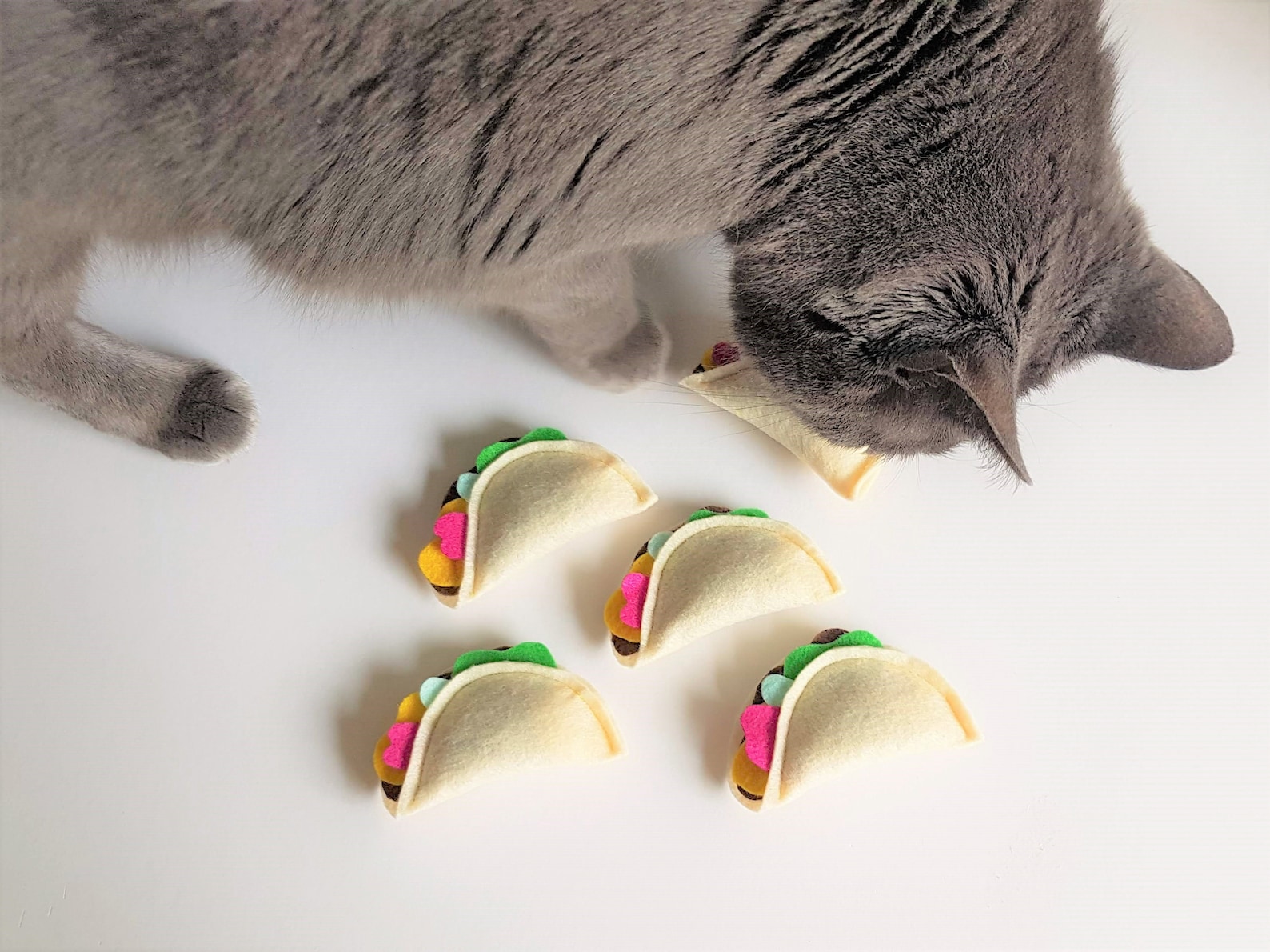Taco Cat Toys Organic Catnip Taco Toys Birthday Cat Gifts Taco - Etsy