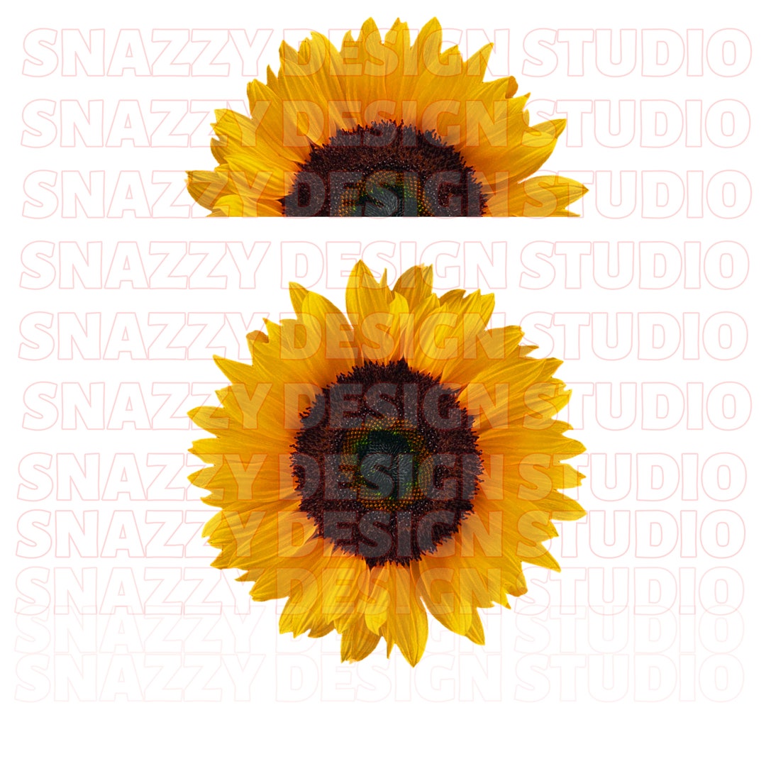 Whole Sunflower Png ~ Half Sunflower Png ~ Design for Sublimation ...