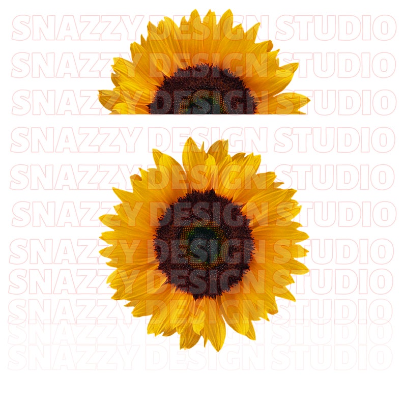 Whole Sunflower Png Half Sunflower Png Design for - Etsy