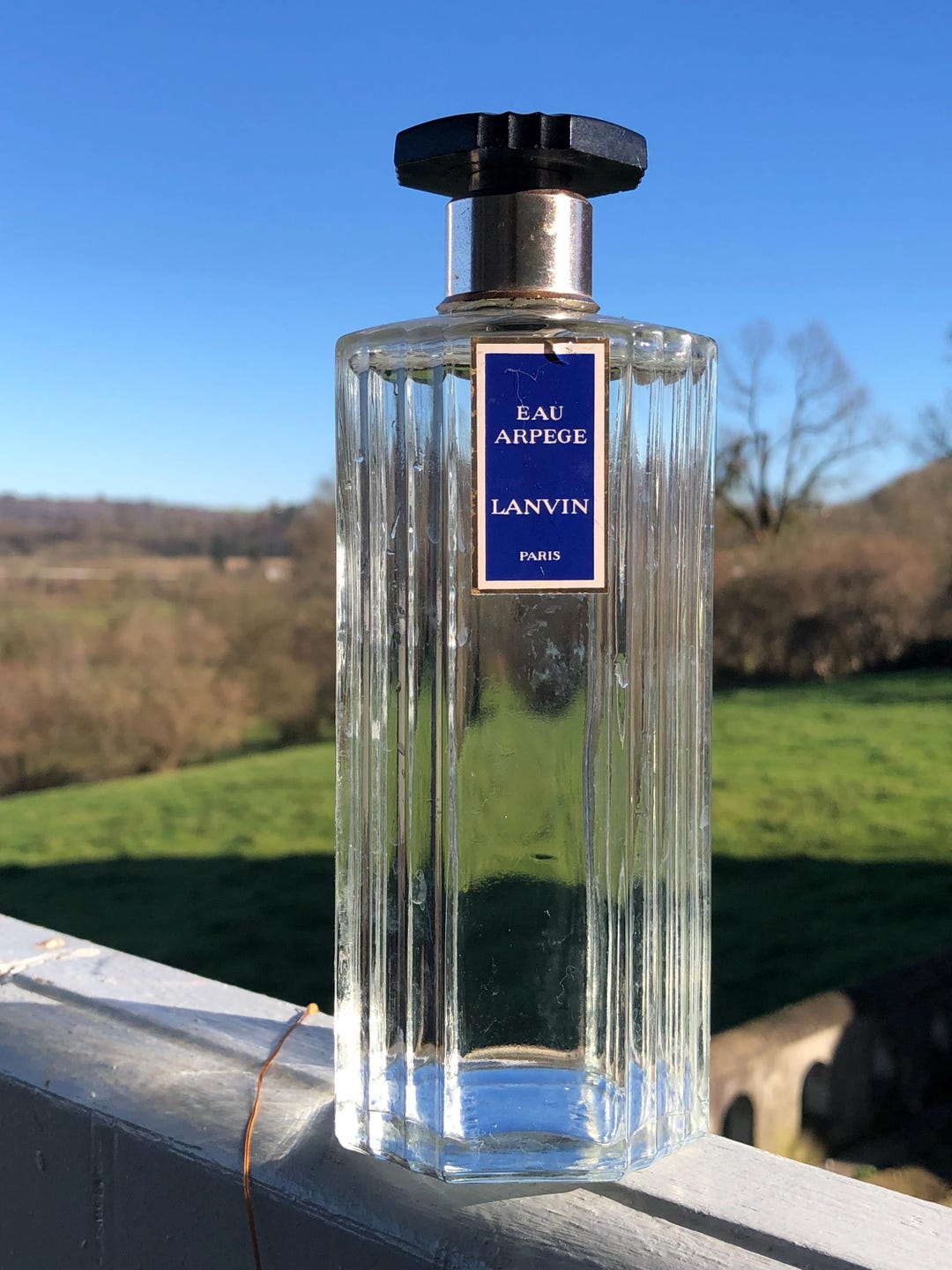 French Vintage 1960s arpège by Lanvin Perfume Bottle / Lovely Design ...