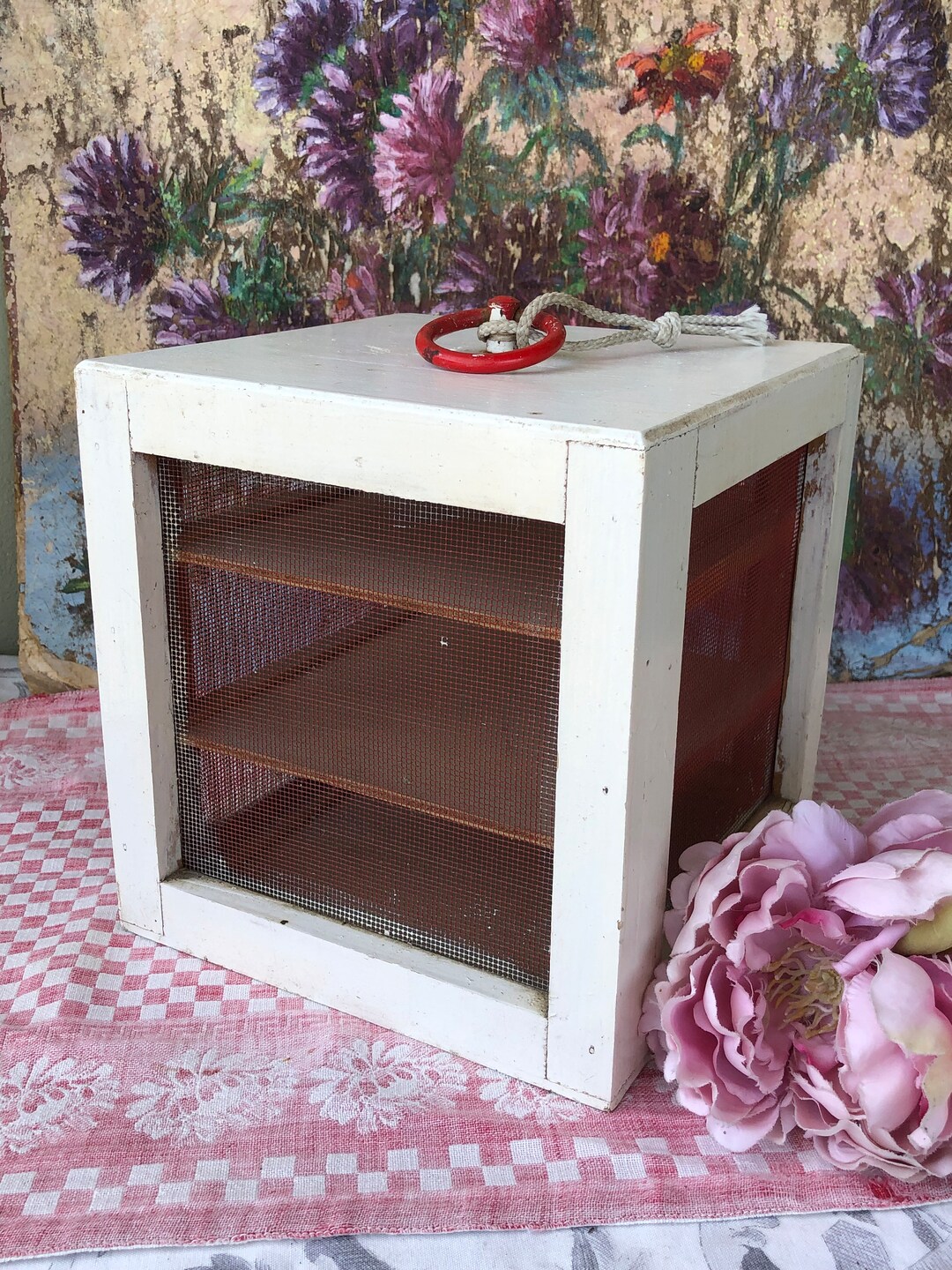 French Vintage "garde Manger" / Small Table Top Pantry / Larder / Food ...