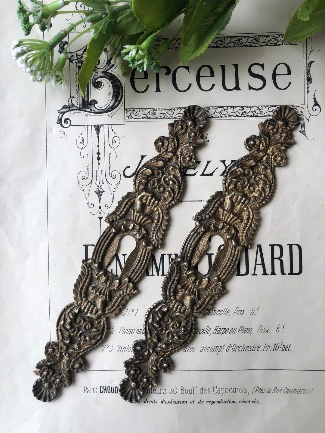 Pair of Long French Antique Brass or Bronze Escutcheons / Intricately ...