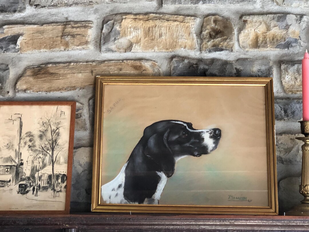 French Vintage Pastel Drawing of a an English Pointer sapho by Y ...