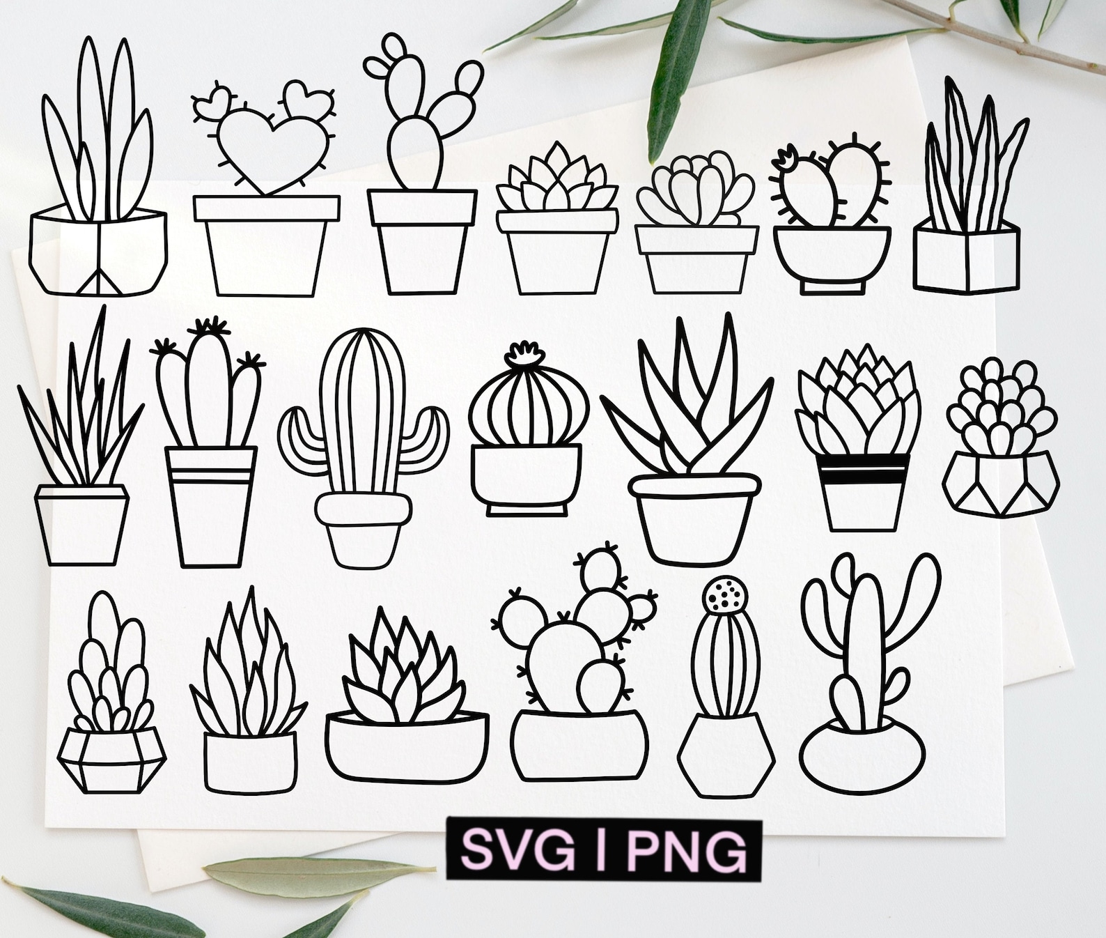 Succulent Clipart Succulent Svg Bundle Cactus Svg Bundle | Etsy