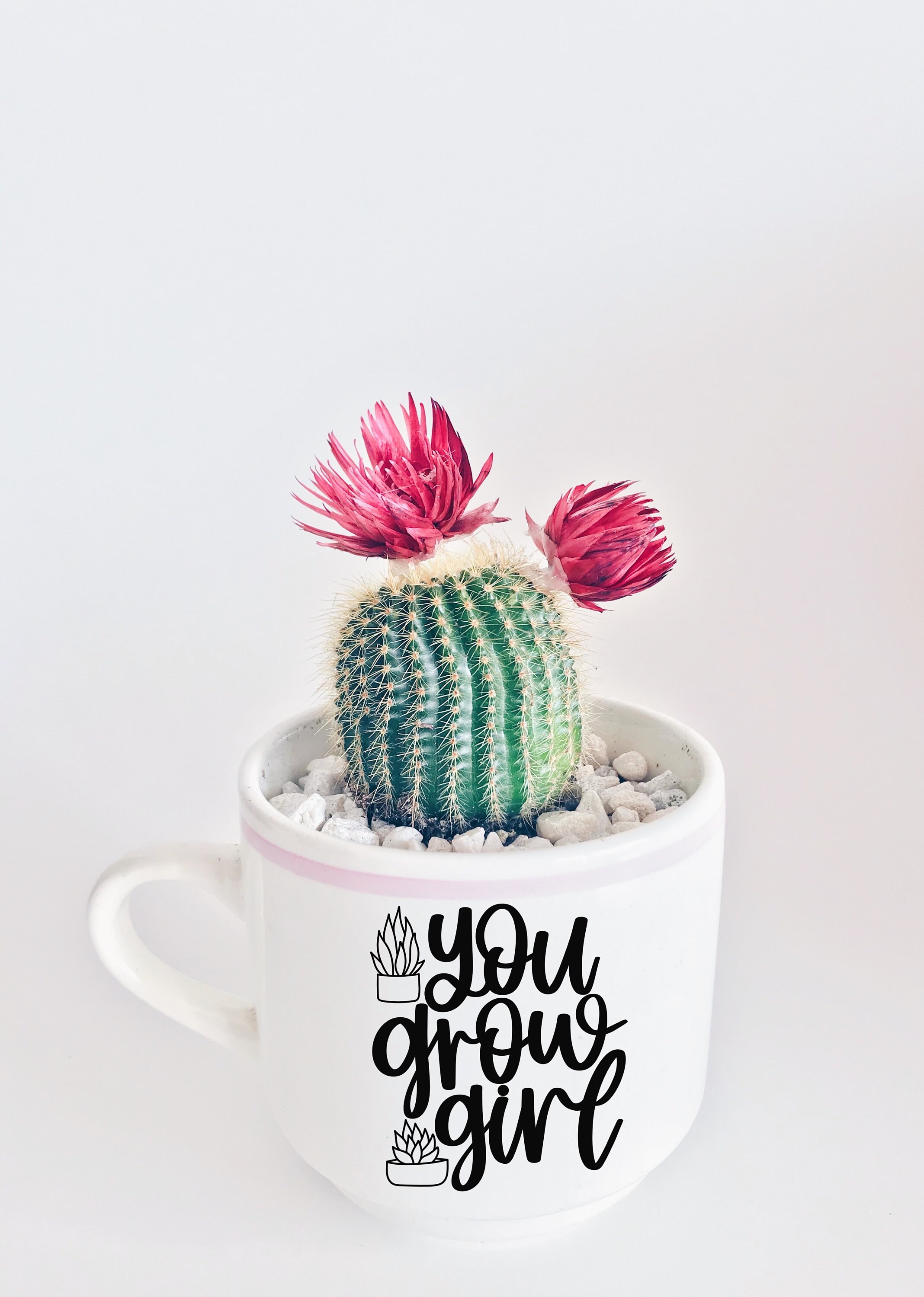 You Grow Girl Svg Succulent Svg Plant Quotes Svg Plant Mom | Etsy