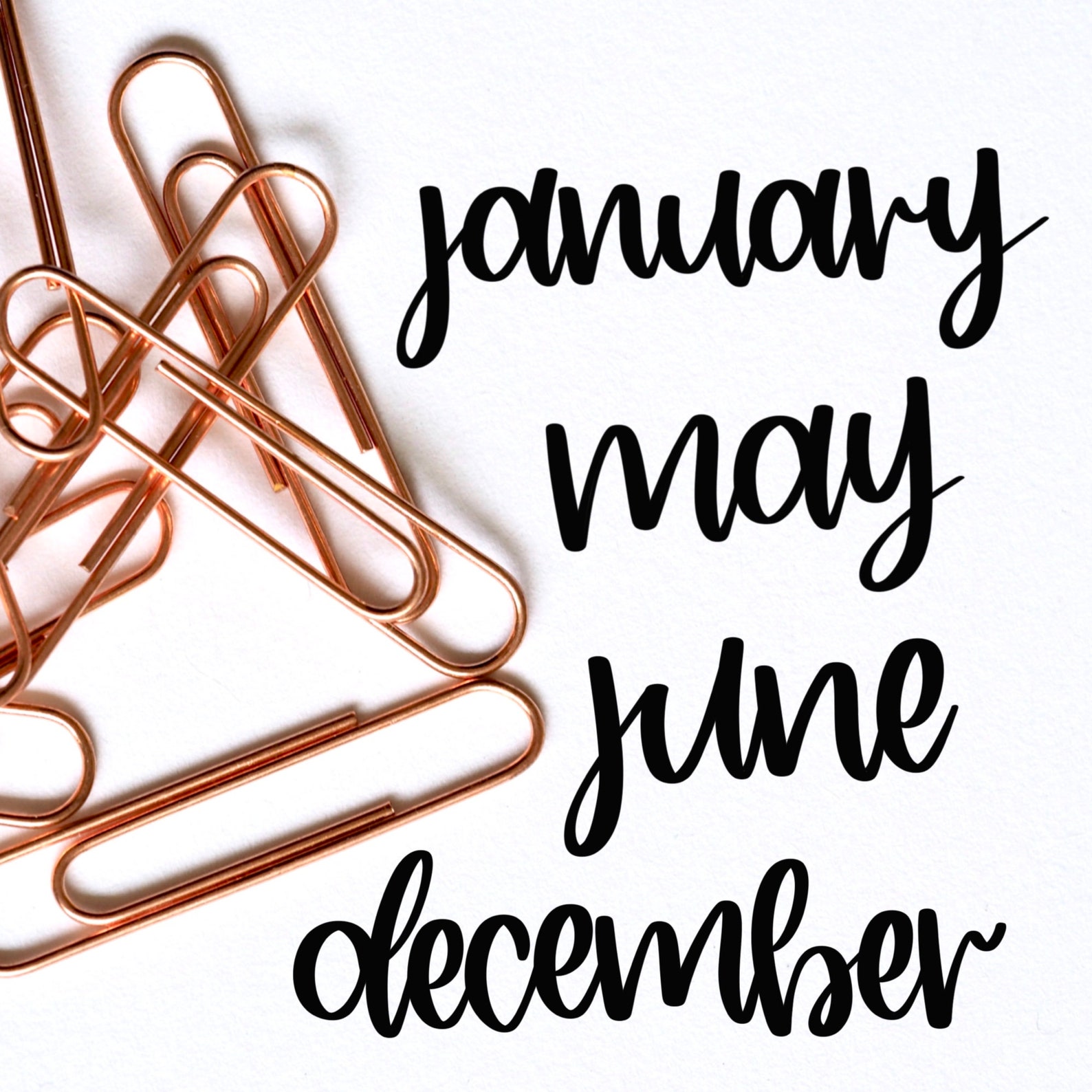 Months of the Year Svg Calendar Months SVG Months Svg Svg | Etsy