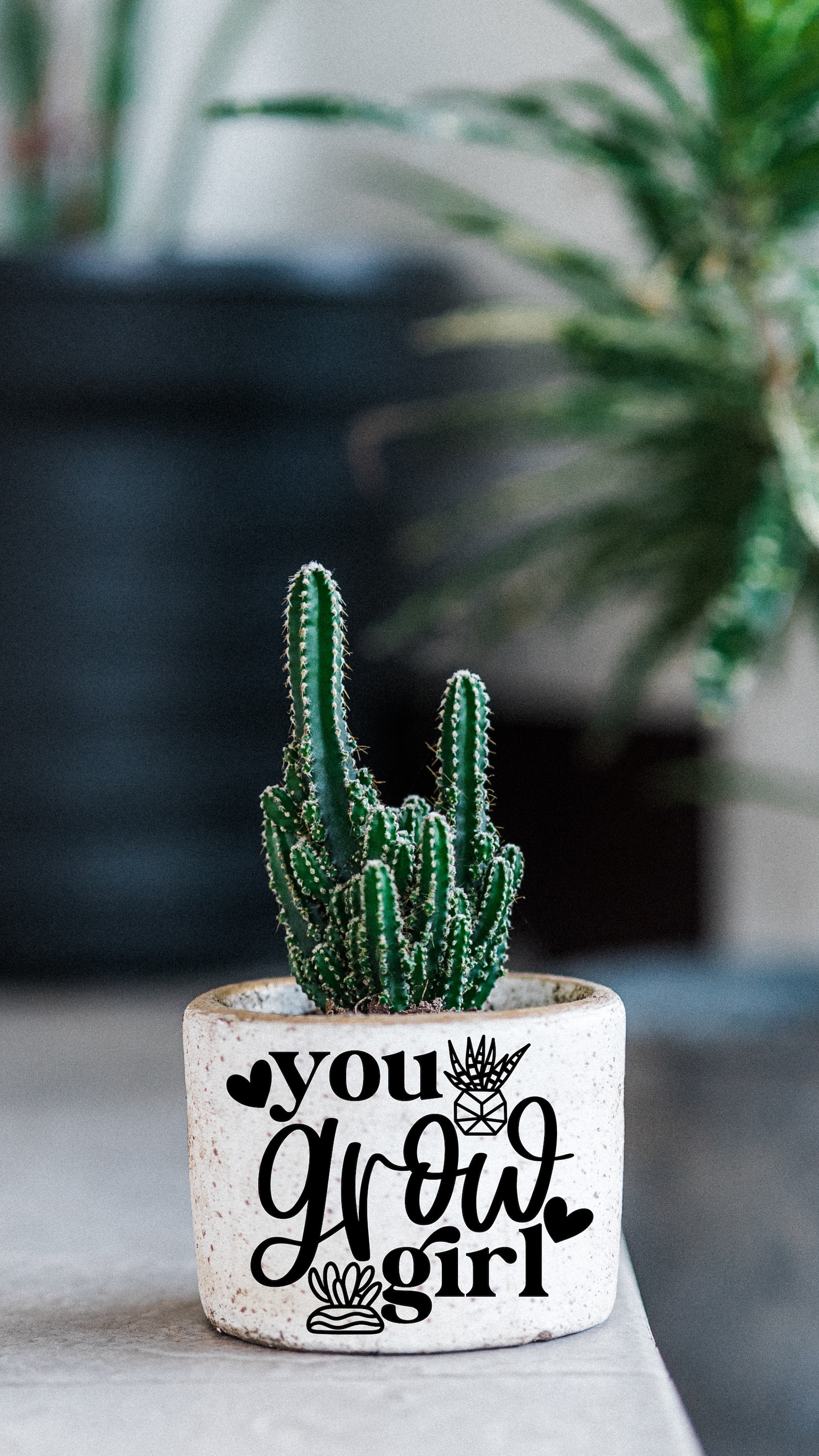 You Grow Girl Svg Succulent Svg Plant Quotes Svg Plant Mom - Etsy
