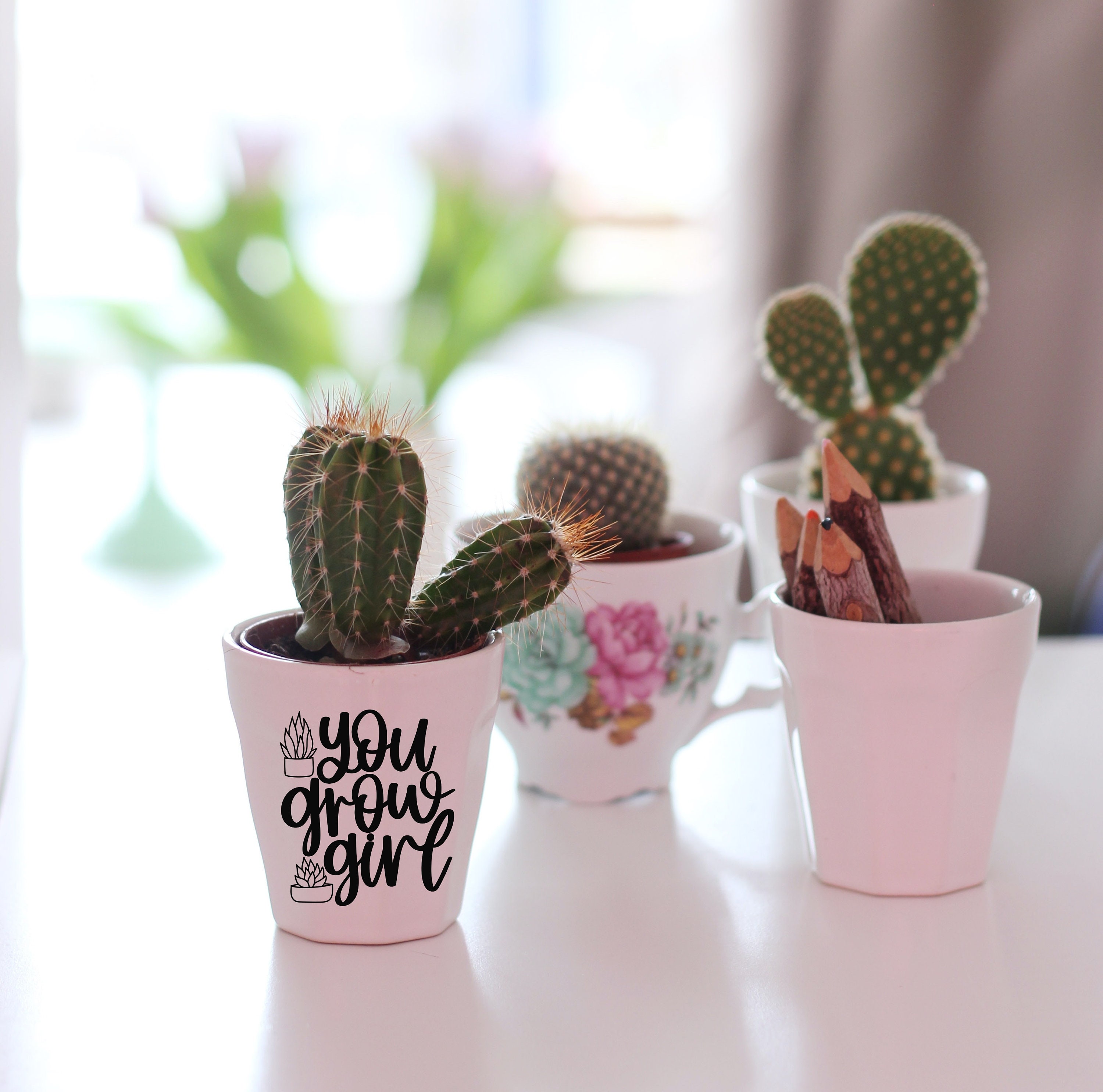 You Grow Girl Svg Succulent Svg Plant Quotes Svg Plant Mom | Etsy