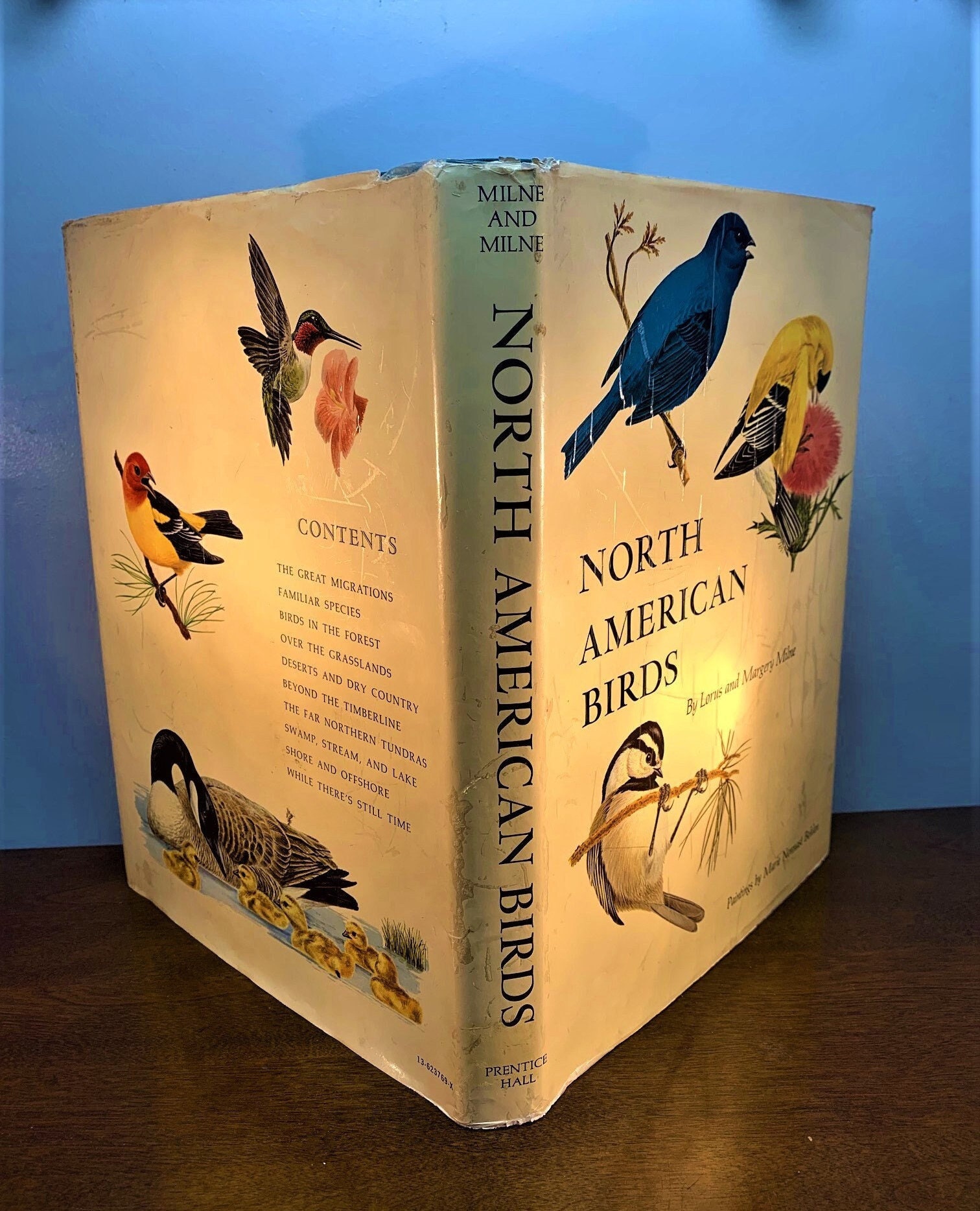 North American Birds by Lorus & Margery Milne Paintings by - Etsy