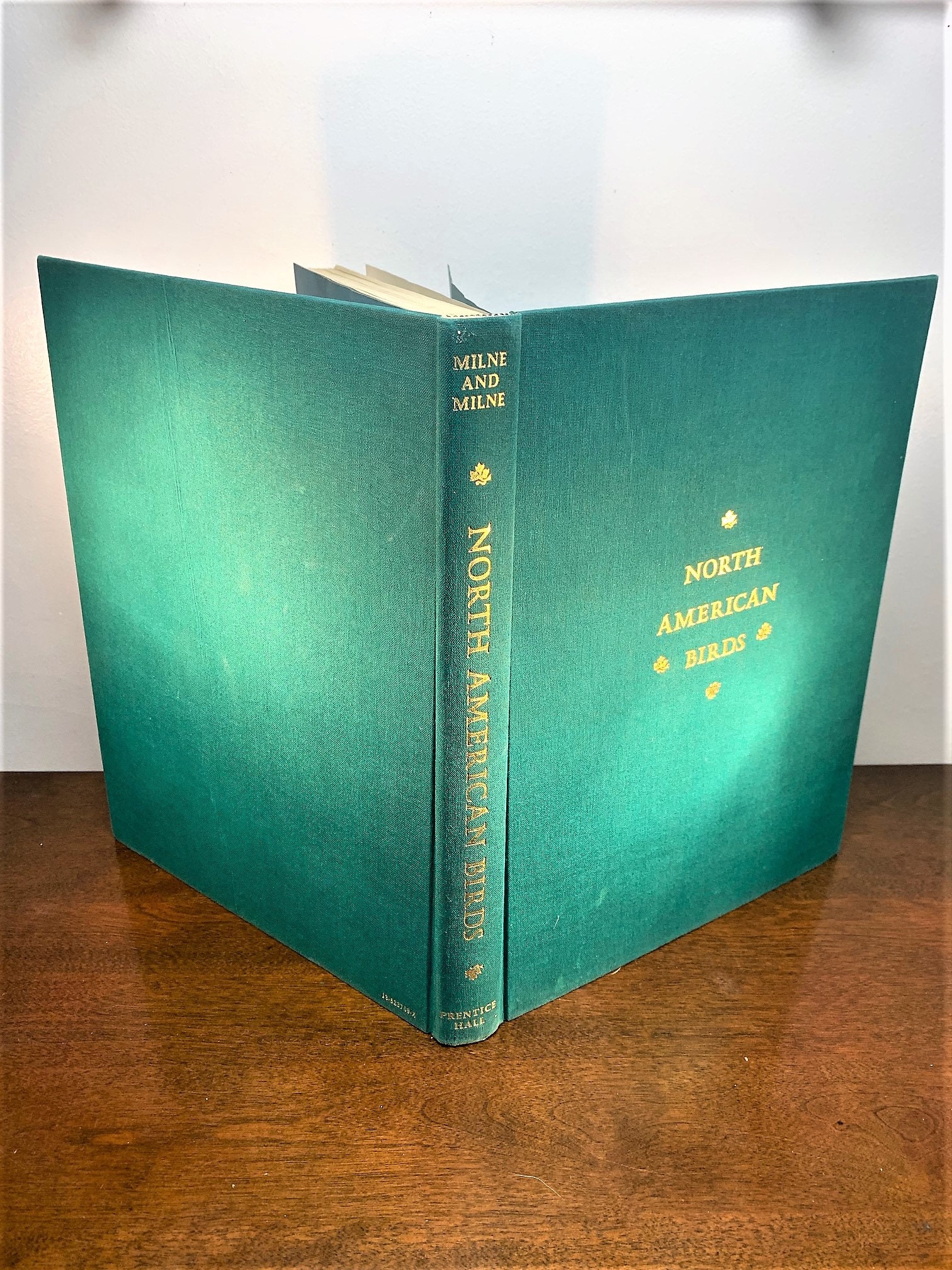 North American Birds by Lorus & Margery Milne Paintings by - Etsy