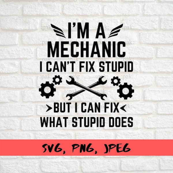 I Cant Fix Stupid Svg - Etsy