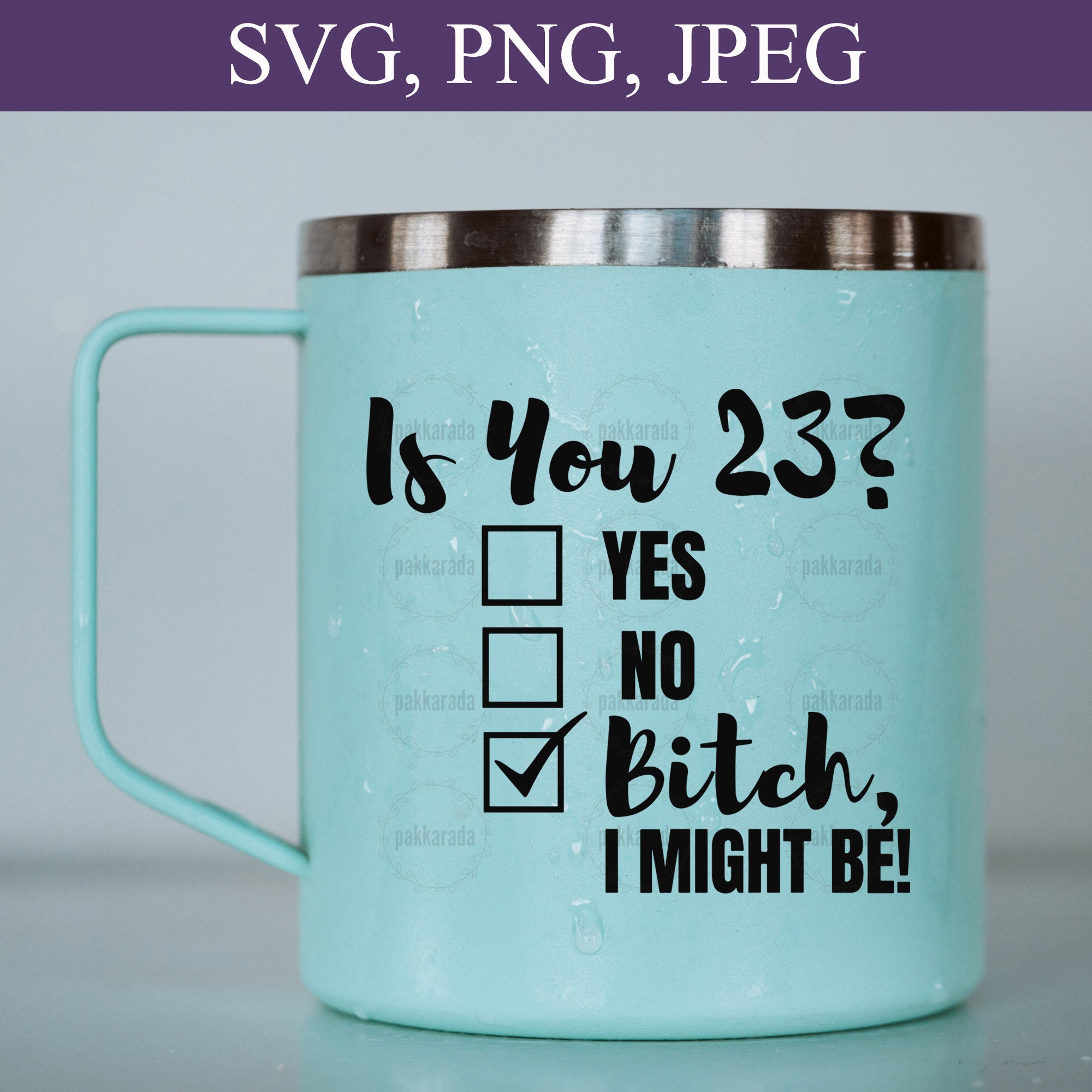 Funny 23rd Birthday Svg is You 23 Bitch I Might Be Svg - Etsy