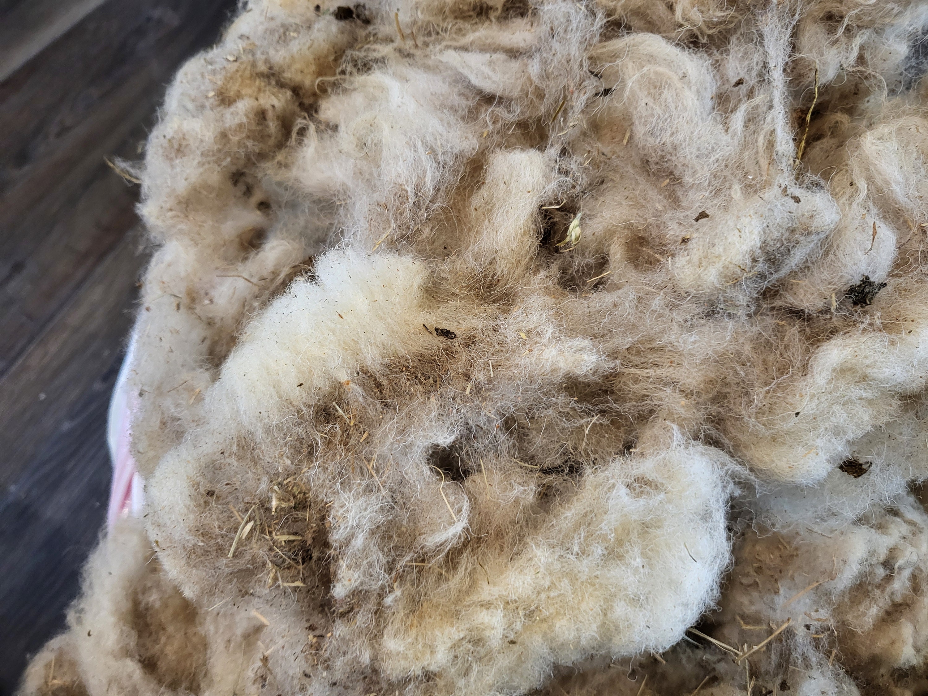 2024 1lb 8oz Whole Raw Fleece 38 34 Staple - Etsy