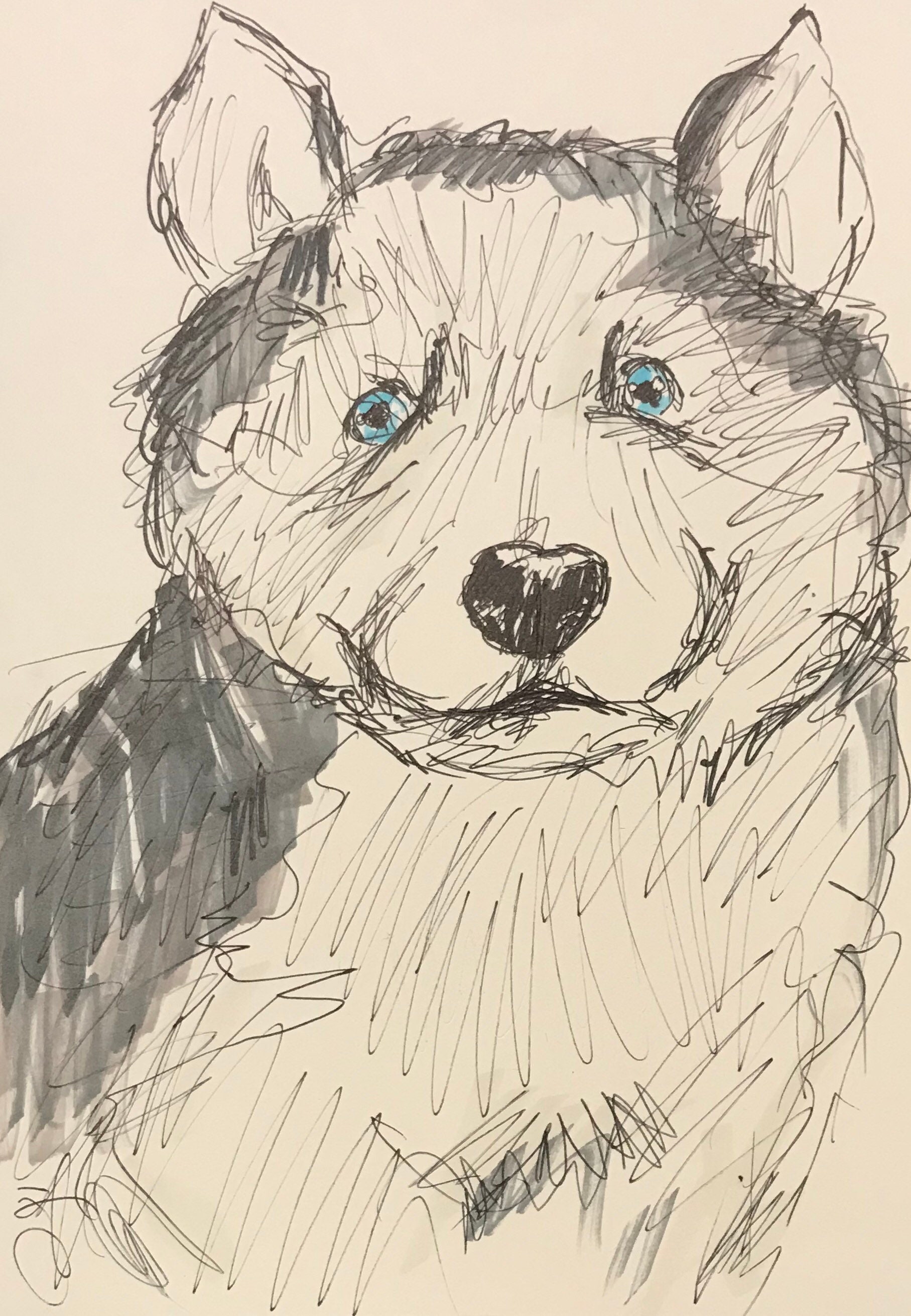 Dog Portrait Sketch A4 Size custom Made - Etsy