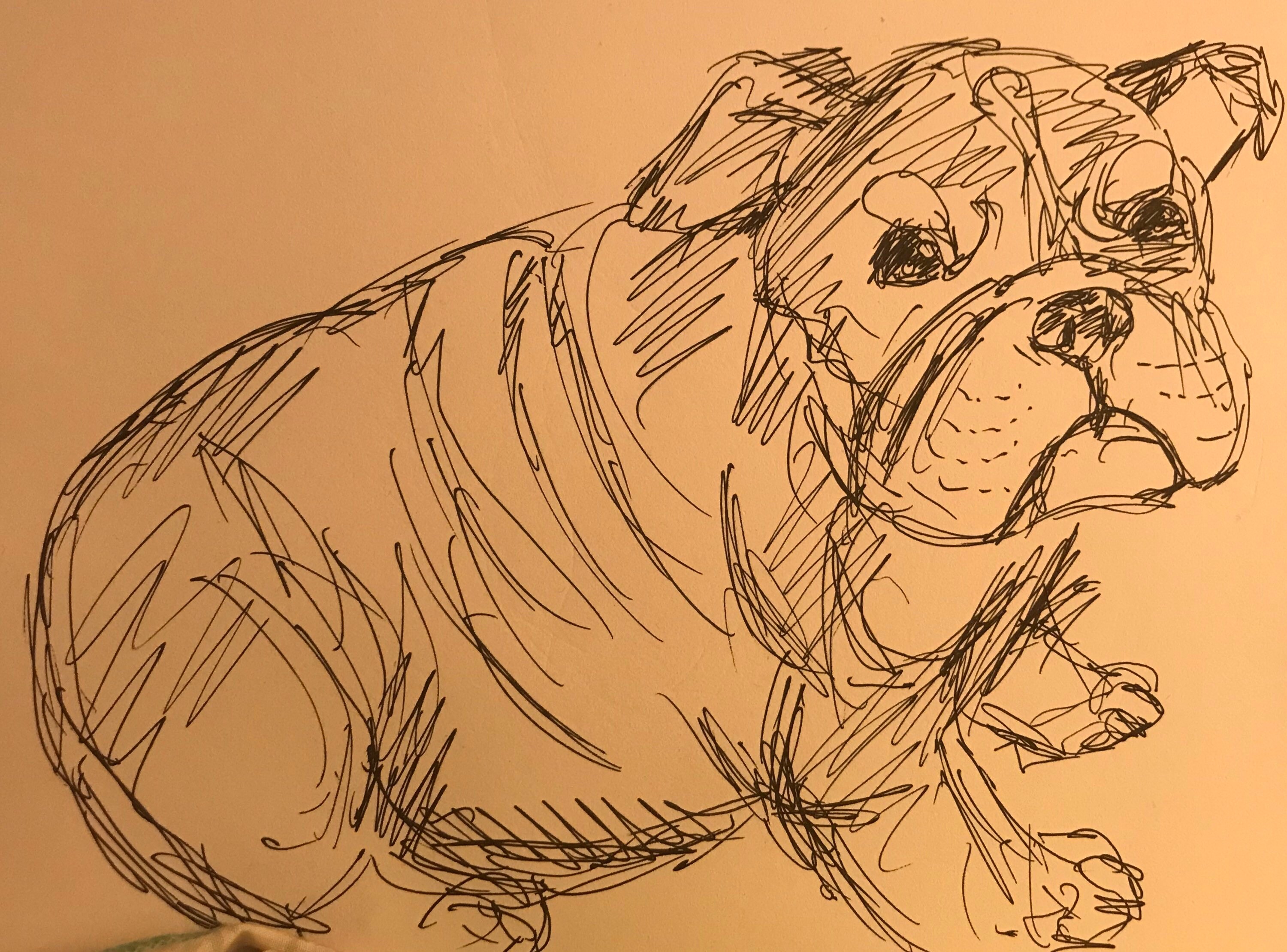 Dog Portrait Sketch A4 Size (custom Made) - Etsy