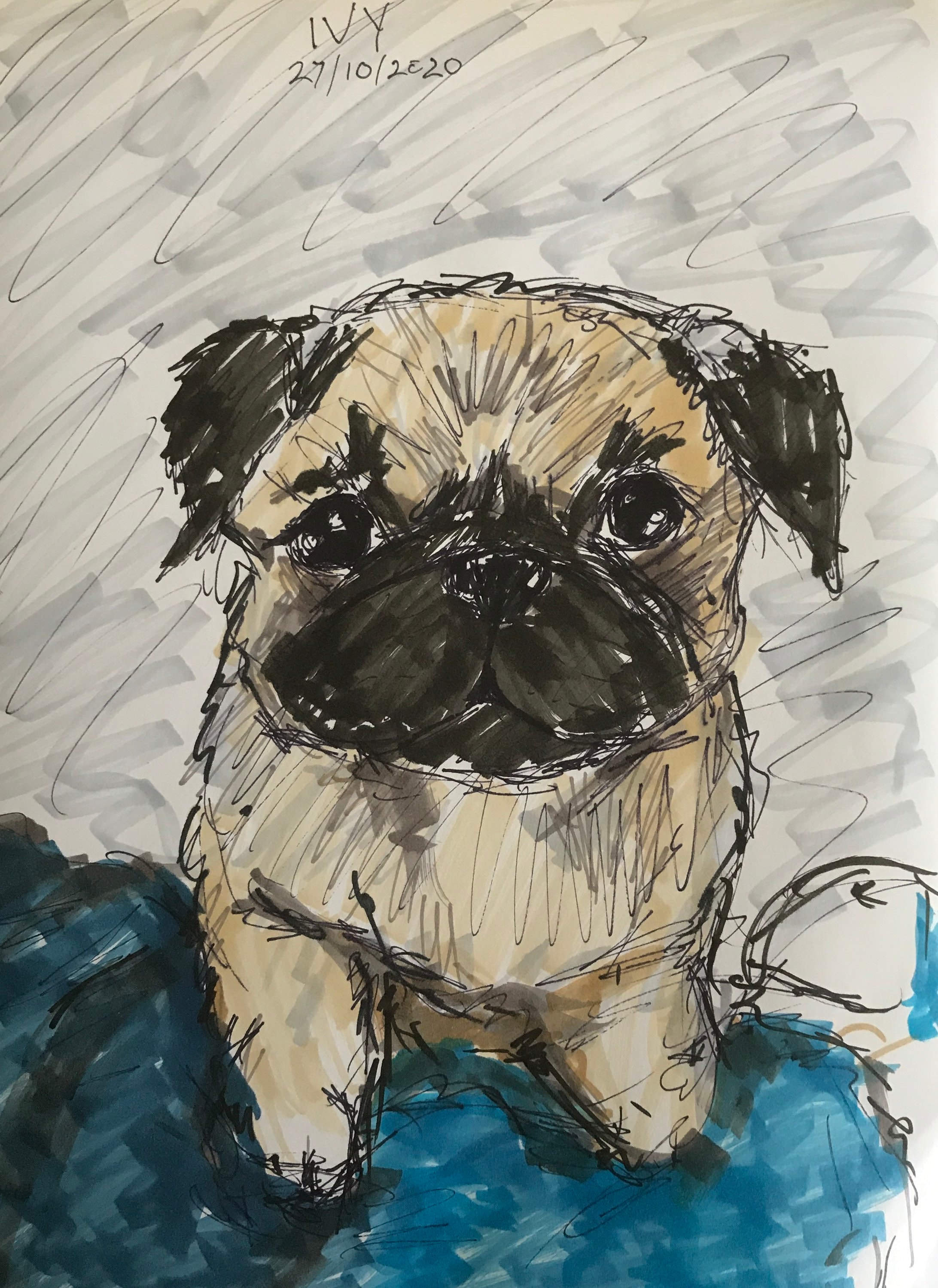 Dog Portrait Sketch A4 Size (custom Made) - Etsy