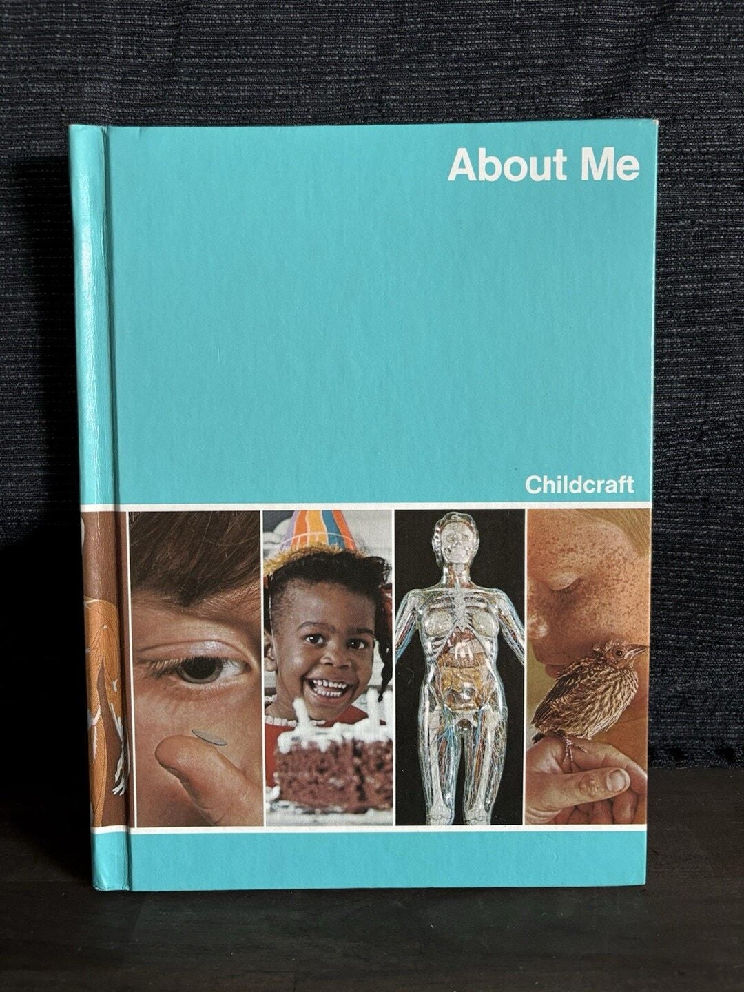 Childcraft: the How and Why Library 1980 Volume 14 Hardcover Vintage ...