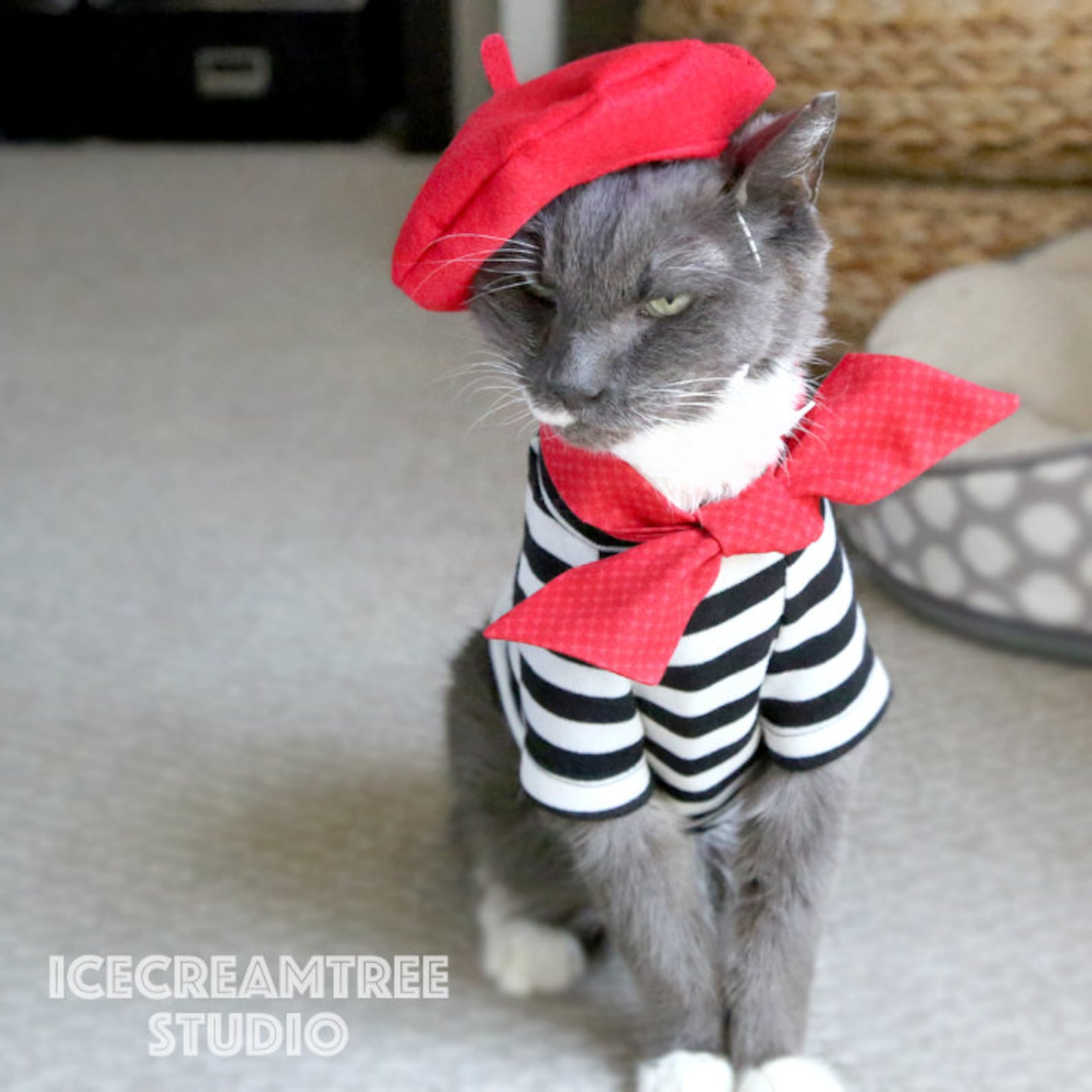 French Look Outfit Set Pet Beret Hat Red Scarf Black White - Etsy