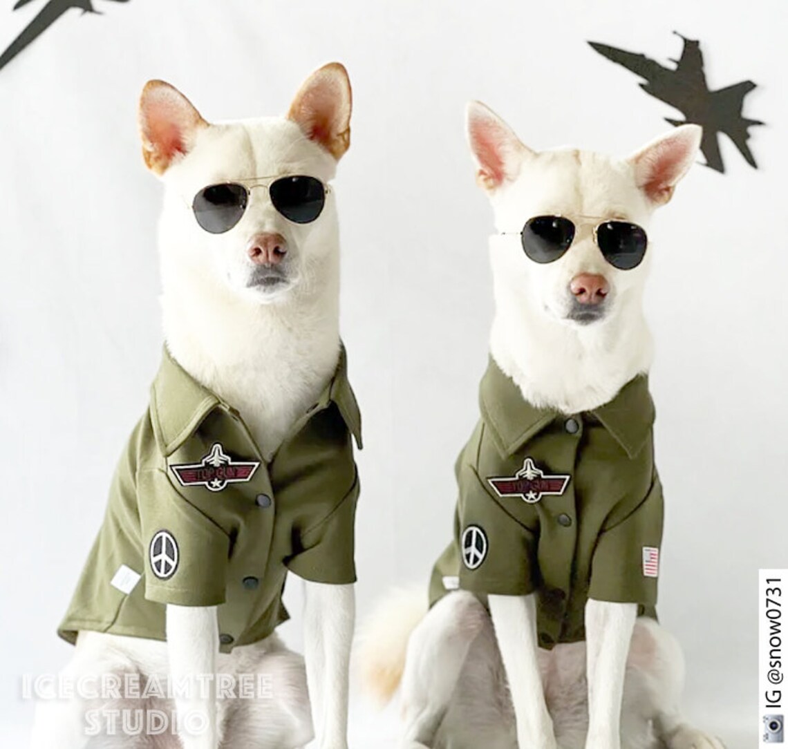 Top Gun Look Outfit Set Pet Fighter Pilot Outfit Navy - Etsy