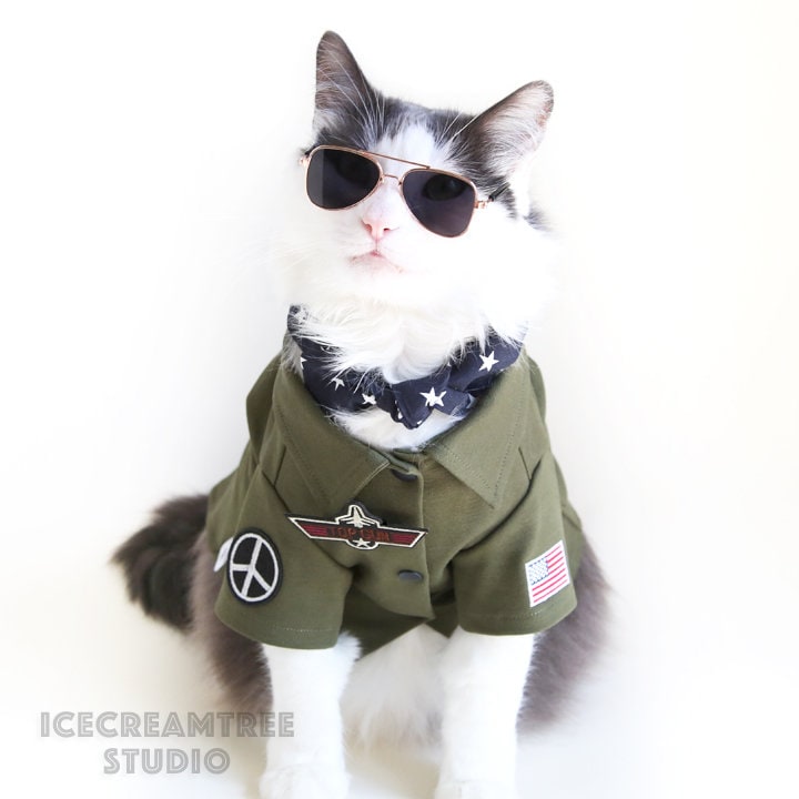 Top Gun Look Outfit Set Pet Fighter Pilot Outfit Navy - Etsy