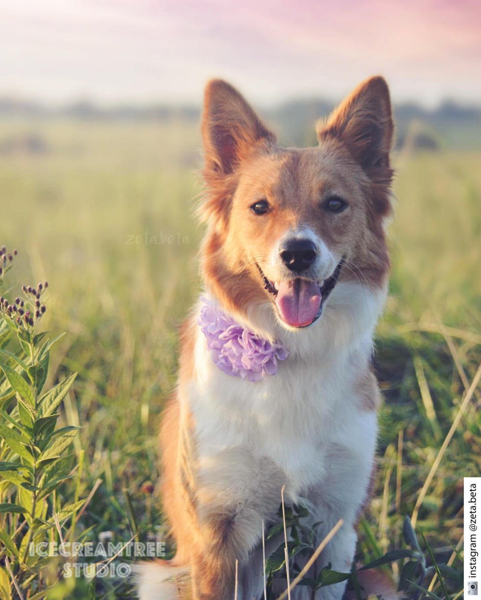 Red Giant Bloom Flower Collar Slide On Flower Collar - Etsy