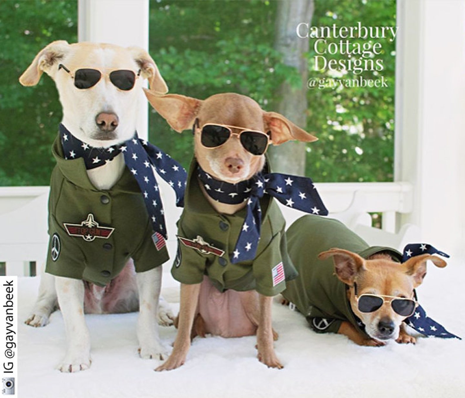 Top Gun Look Outfit Set Pet Fighter Pilot Outfit Navy - Etsy