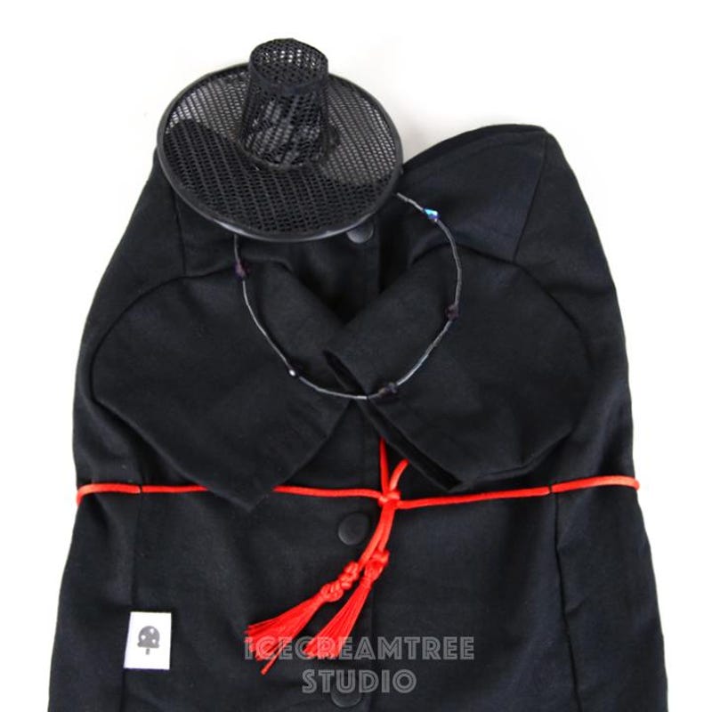 Baby Saja Outfit Costume - Etsy