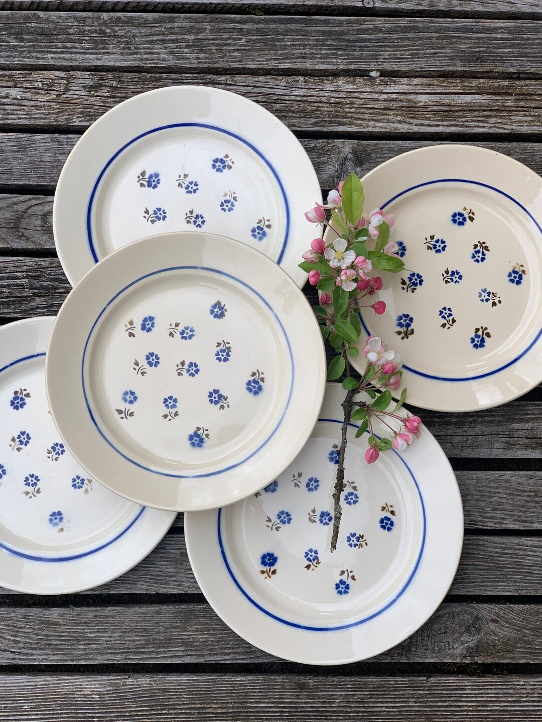 5 Flat Plates From the FB Badonviller Factory Decorated With Flowers ...