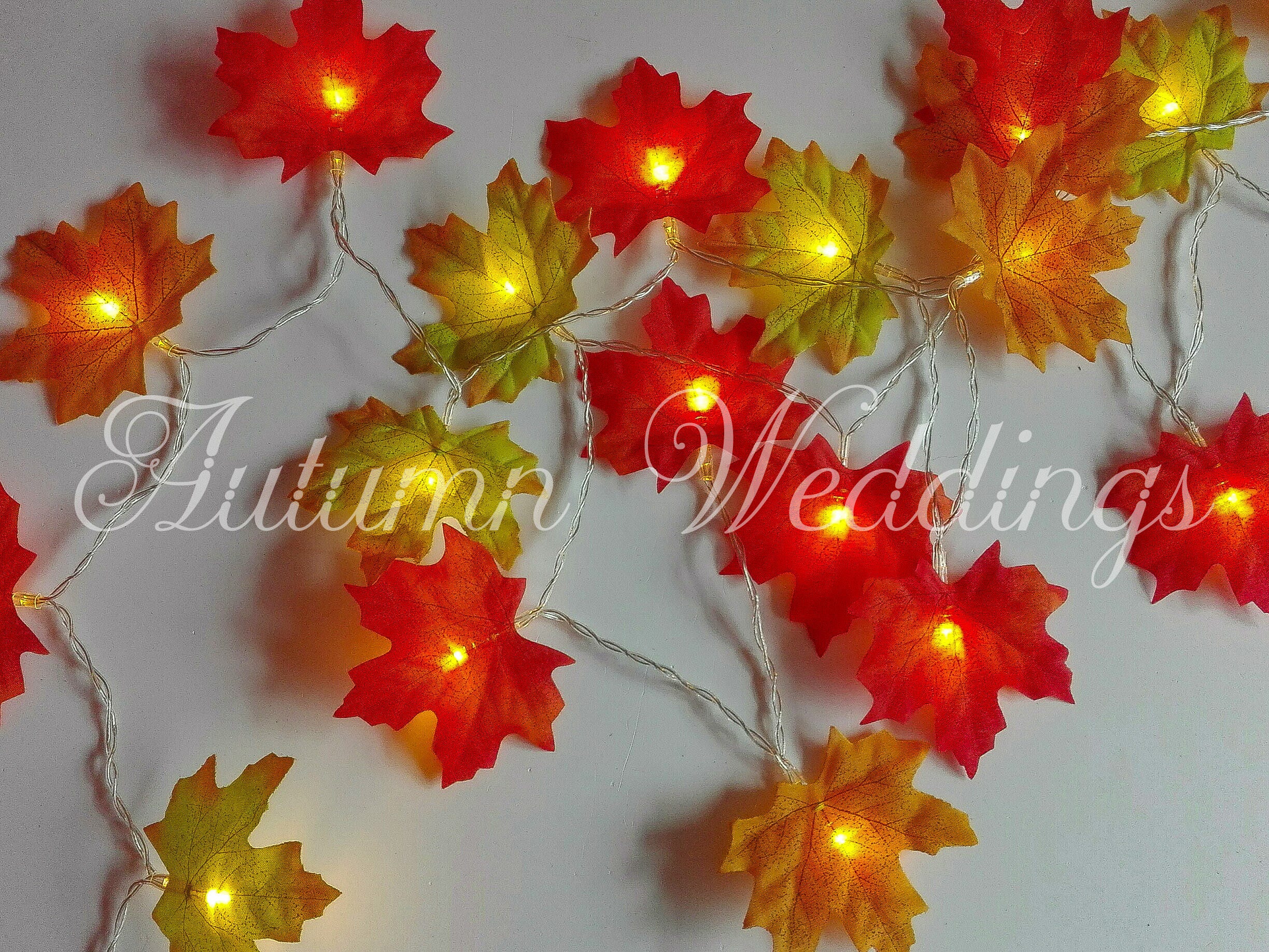 Autumn Fairy Lights 1-5m 'Fresh' String Lights | Etsy