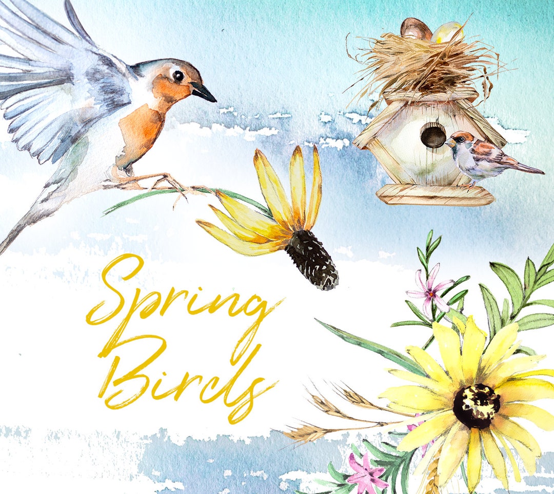 Watercolor Spring Birds Clipart Set,hand Painted Illustration,nature ...
