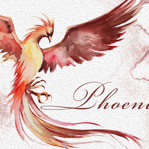 Watercolor Phoenix Clipart Setwizardfantasyfantastic - Etsy