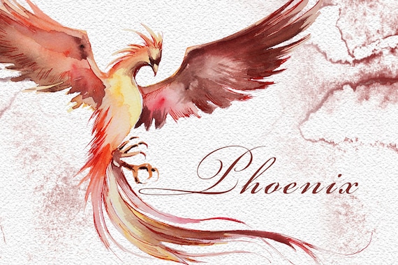 Watercolor Phoenix Clipart Setwizardfantasyfantastic - Etsy