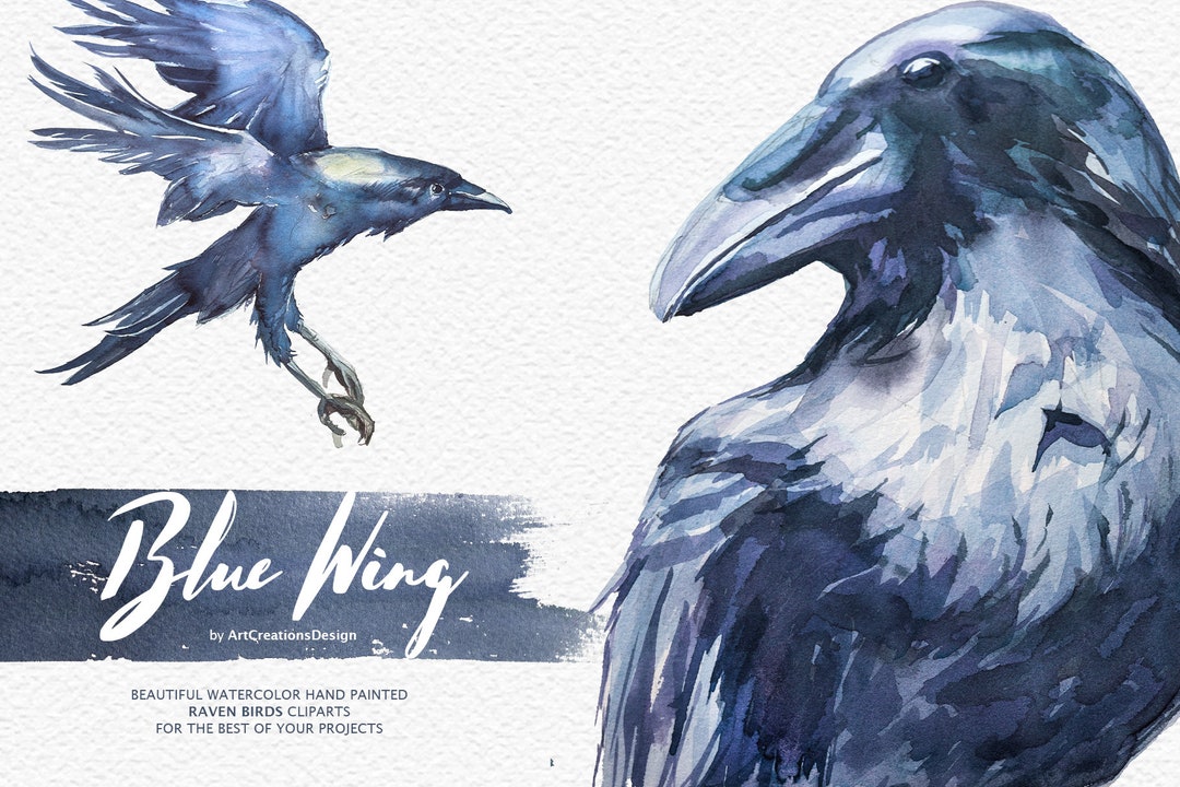 Watercolor Blue Wing Clipart Set,raven Illustration,crow Clipart,bird ...