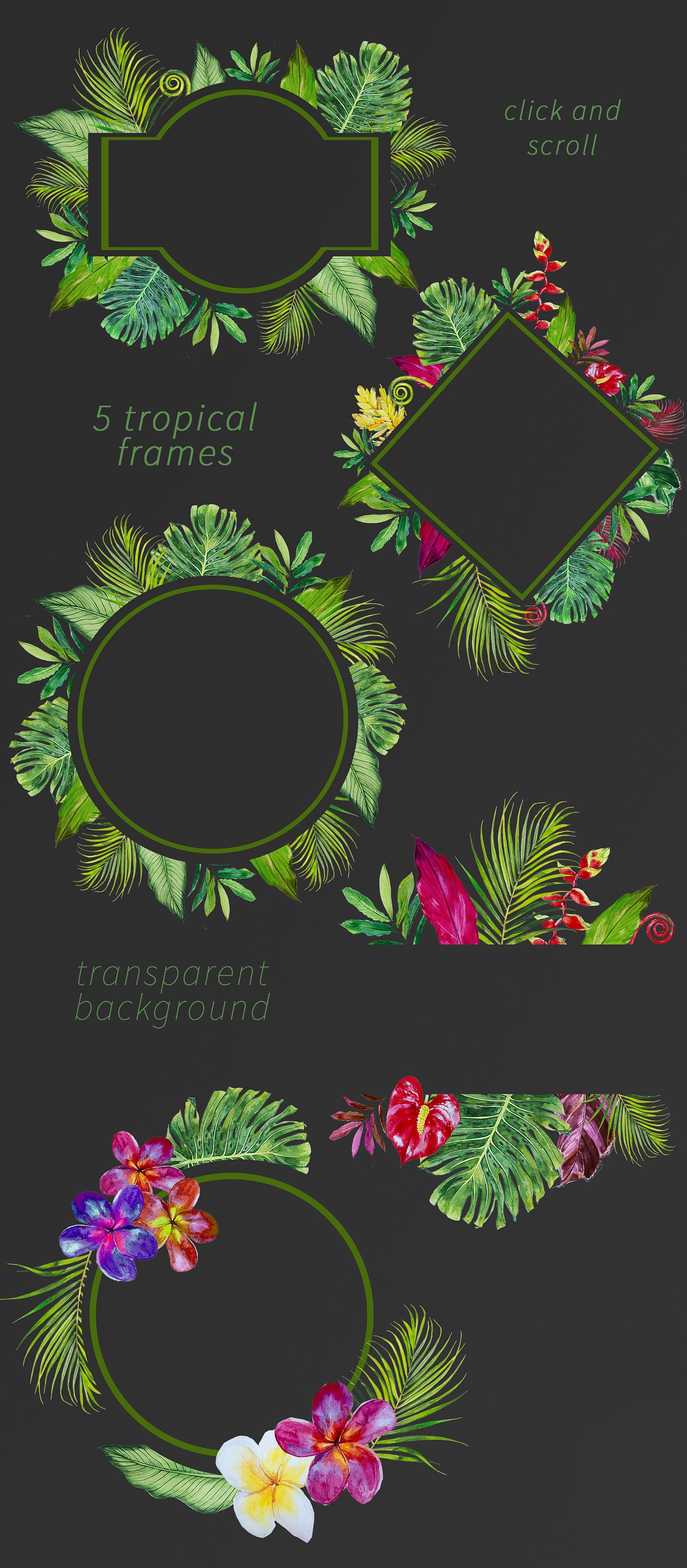 Watercolor Tropical Frames Clipart Setexotictropical - Etsy