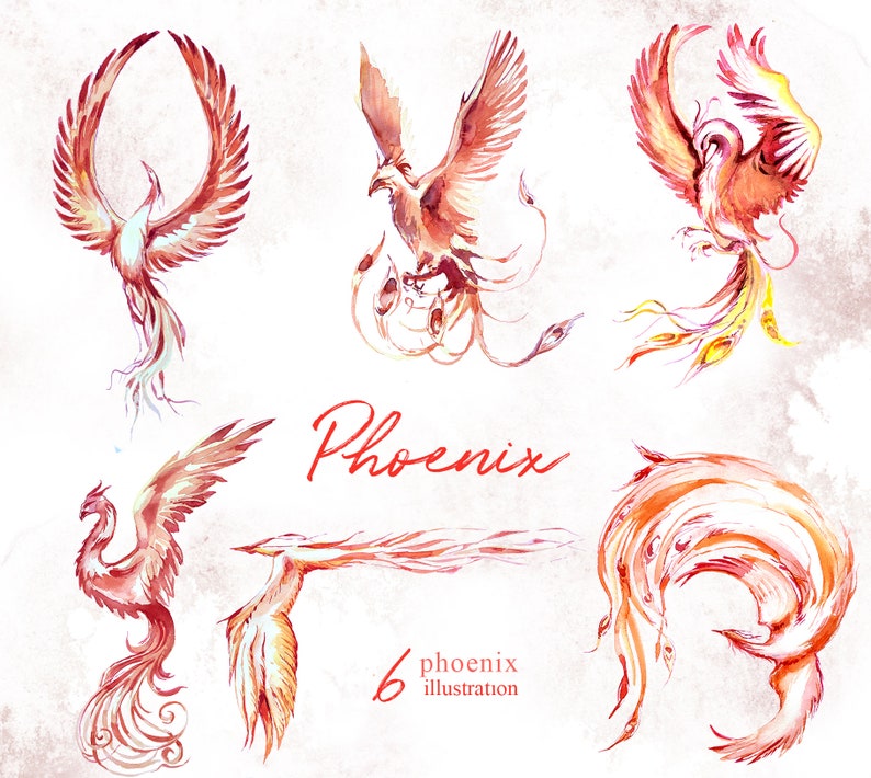Watercolor Phoenix Clipart Set,wizard,fantasy,fantastic Bird,fire,magic ...