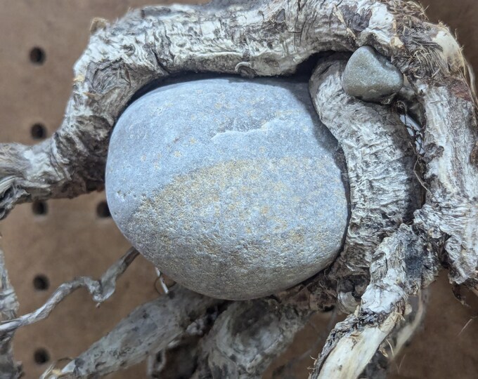 Rrare Driftwood Roots W/ Embedded Stone 20in Long, Terrarium or ...